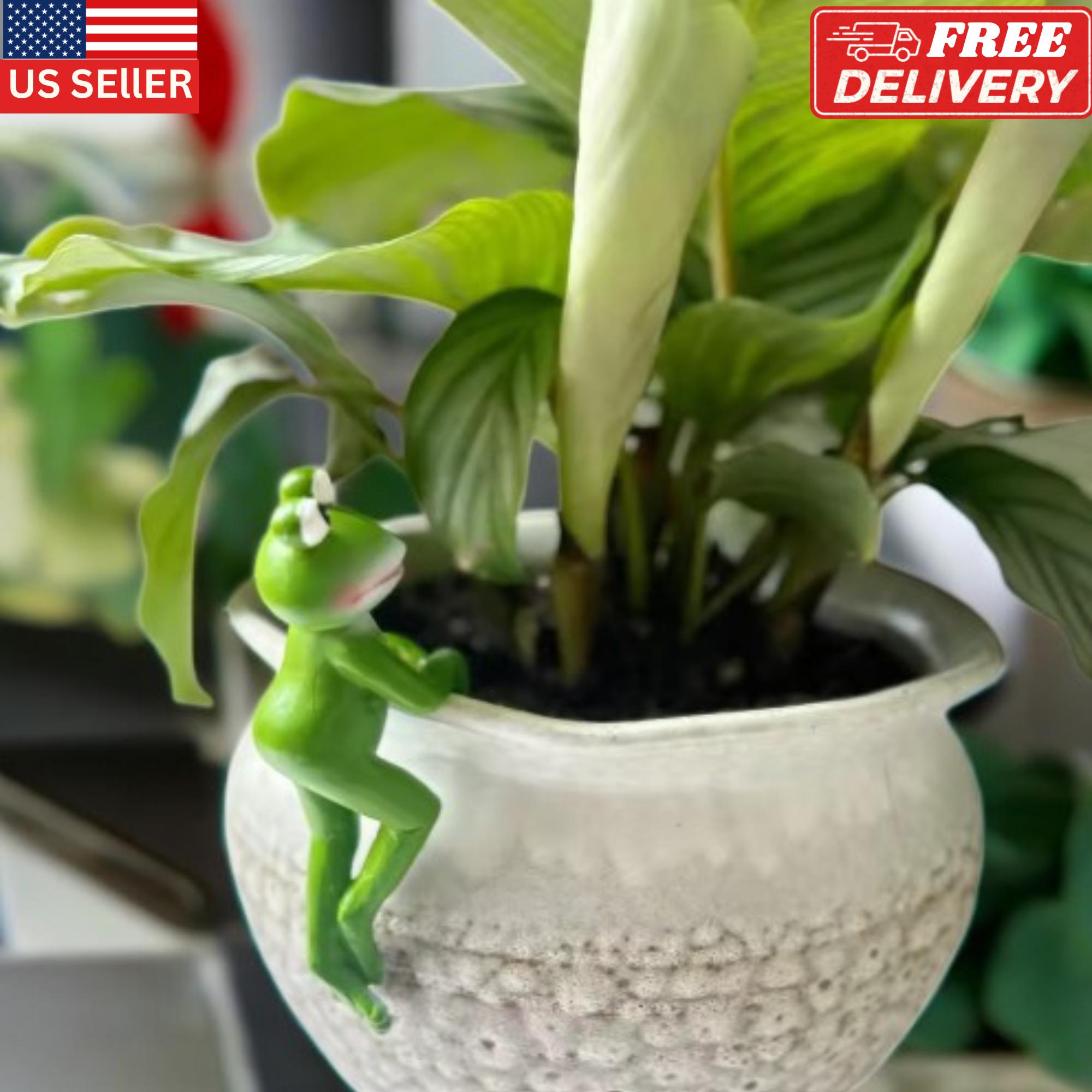 Cute Hanging Frog Pot | Resin Planter Decoration | Cartoon Frog Bonsai ...