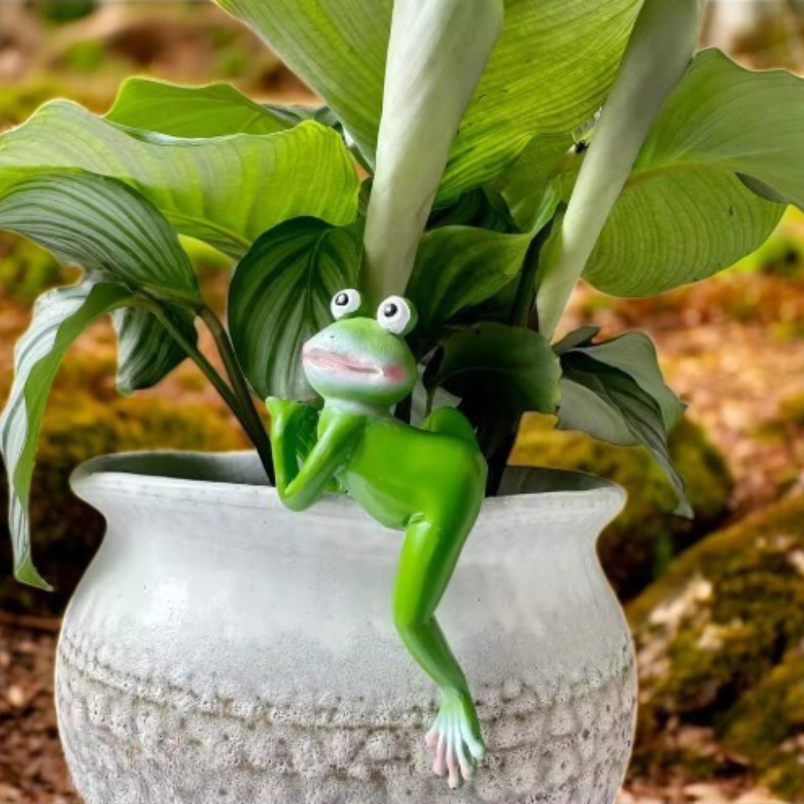 Cute Hanging Frog Pot | Resin Planter Decoration | Cartoon Frog Bonsai ...