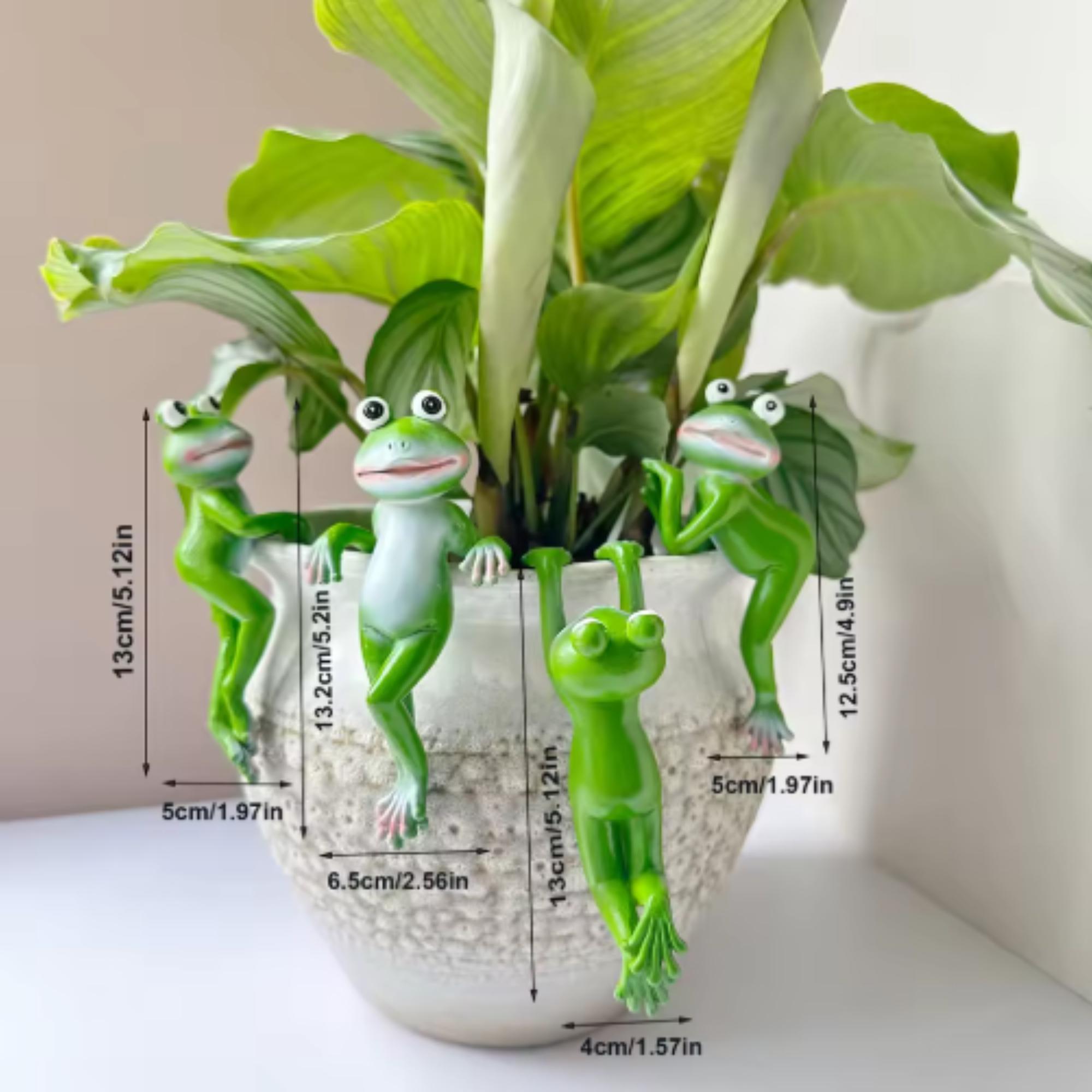 Cute Hanging Frog Pot | Resin Planter Decoration | Cartoon Frog Bonsai ...