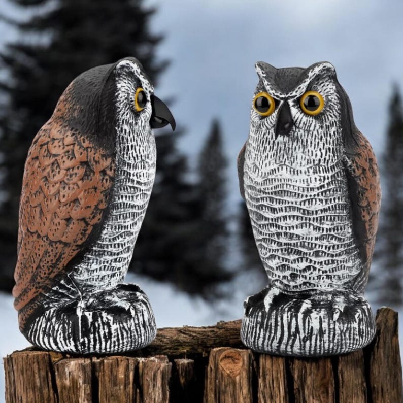 Realistic Owl Decoy: Waterproof Garden Bird Deterrent - Etsy