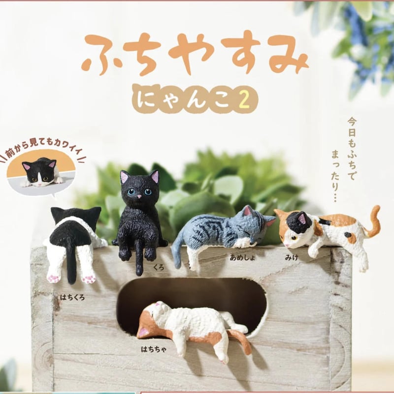 Blindbox Template - Etsy