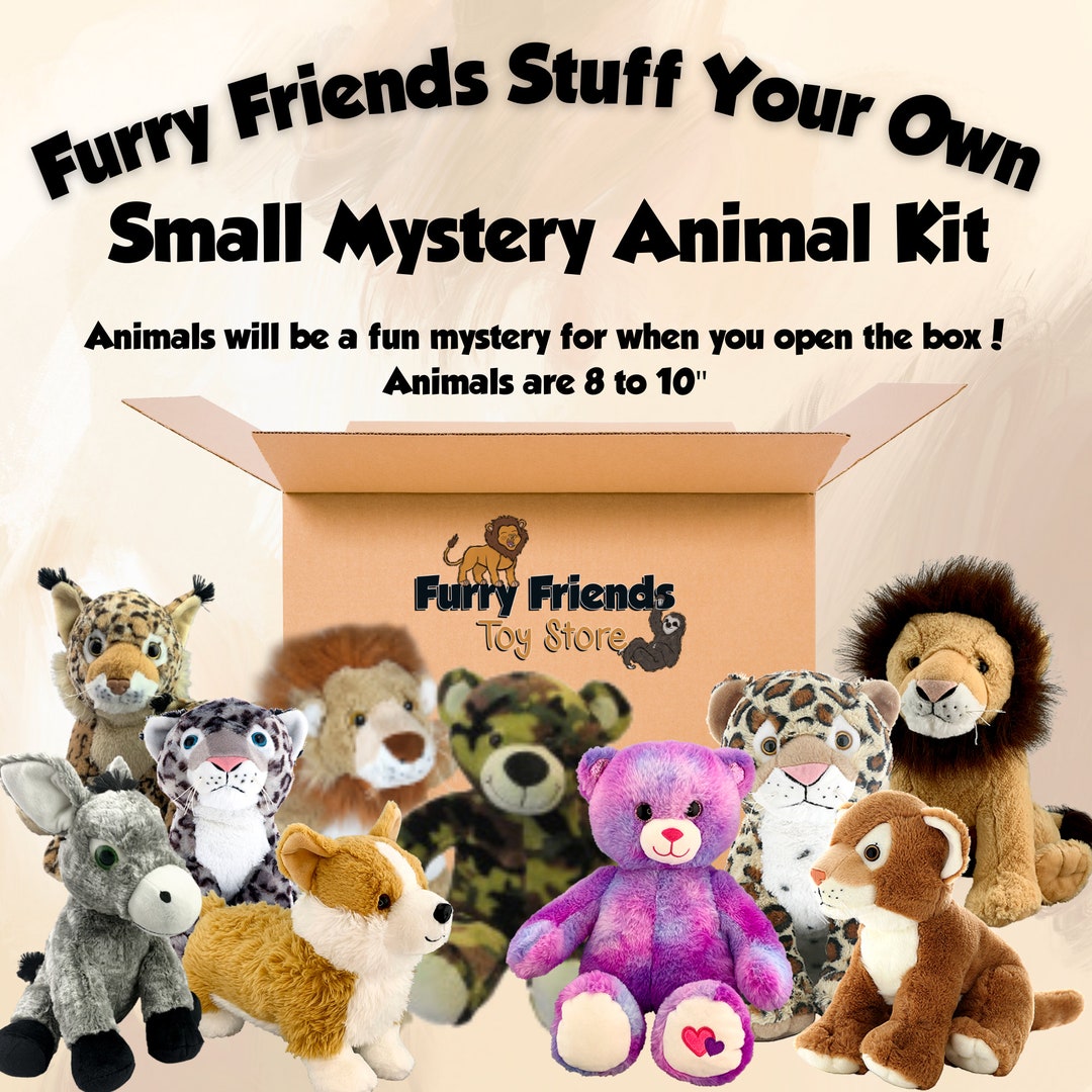 Mystery Make Your Own Stuffed Animal Party Pack: 10 Adorable Unstuffed ...