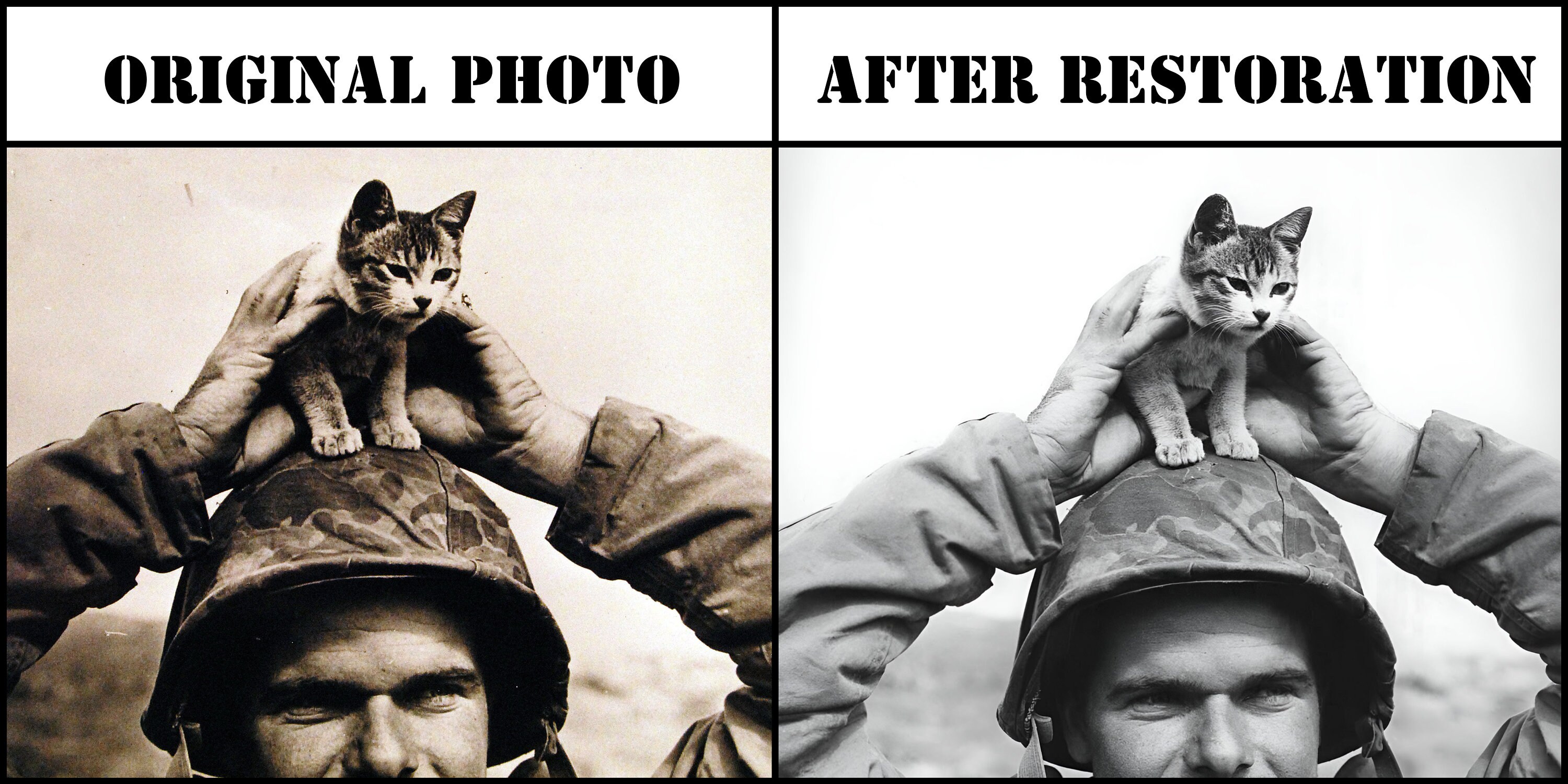 Mount Suribachi Kitten Restored & Colorized Black and White WW2 Photo ...