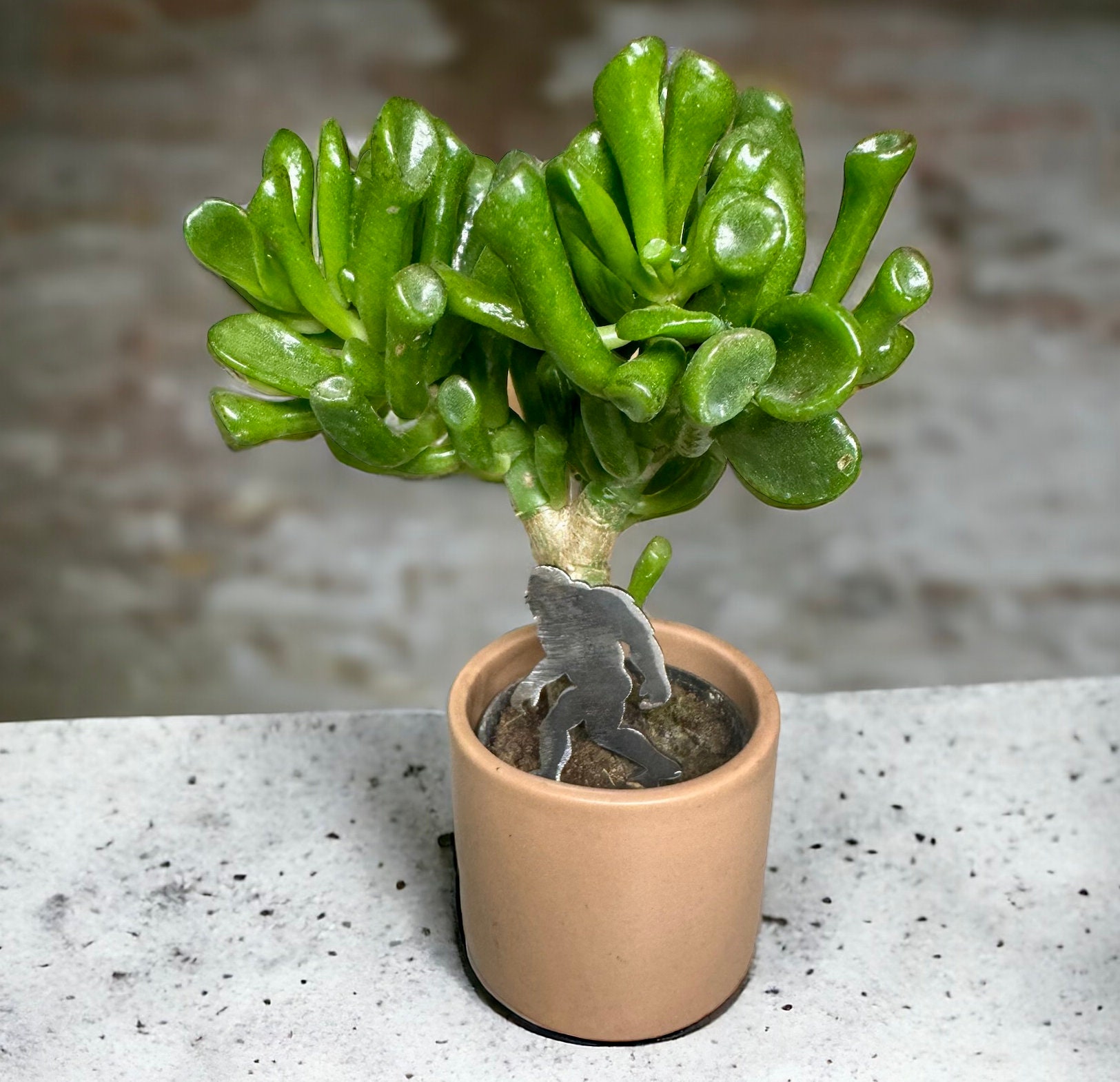 Yeti Bigfoot Plant Companion - Set of 3 - Quirky Sasquatch Mini Plant ...