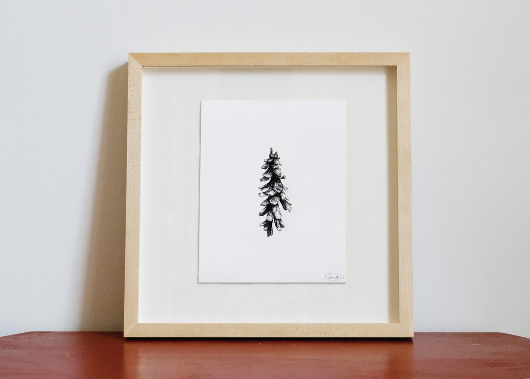 Eastern White Pine: Print of Hand-drawn Botanical Illustration (plant ...