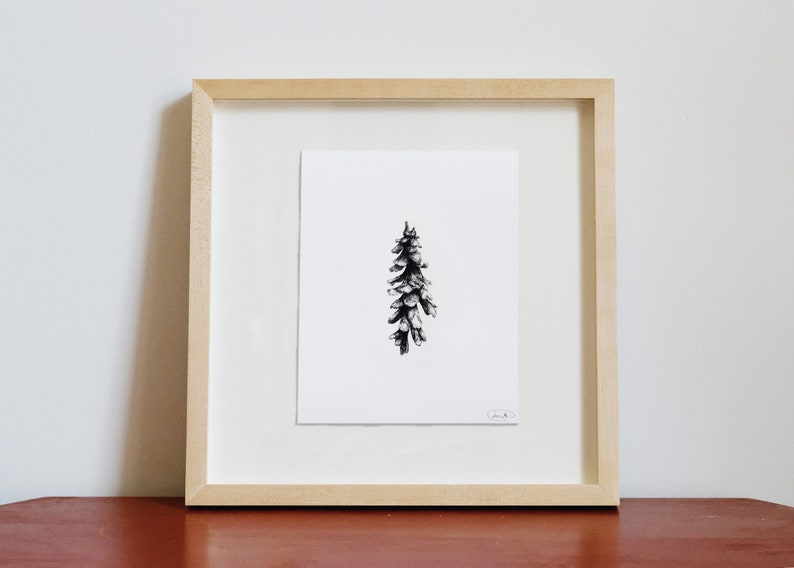 Eastern White Pine: Print of Hand-drawn Botanical Illustration (plant ...