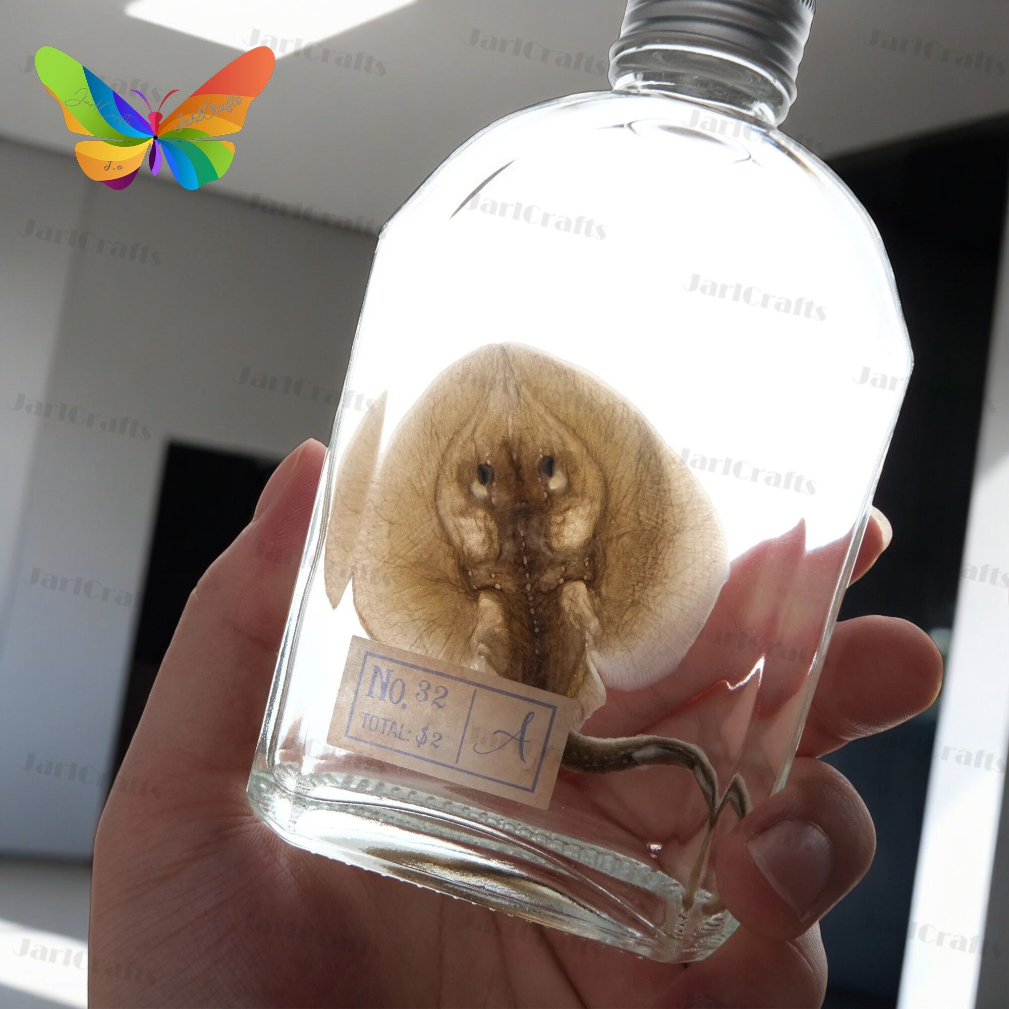 Cute Smiling Stingray Wet Specimen in Glass Bottle, Exotic Fish ...