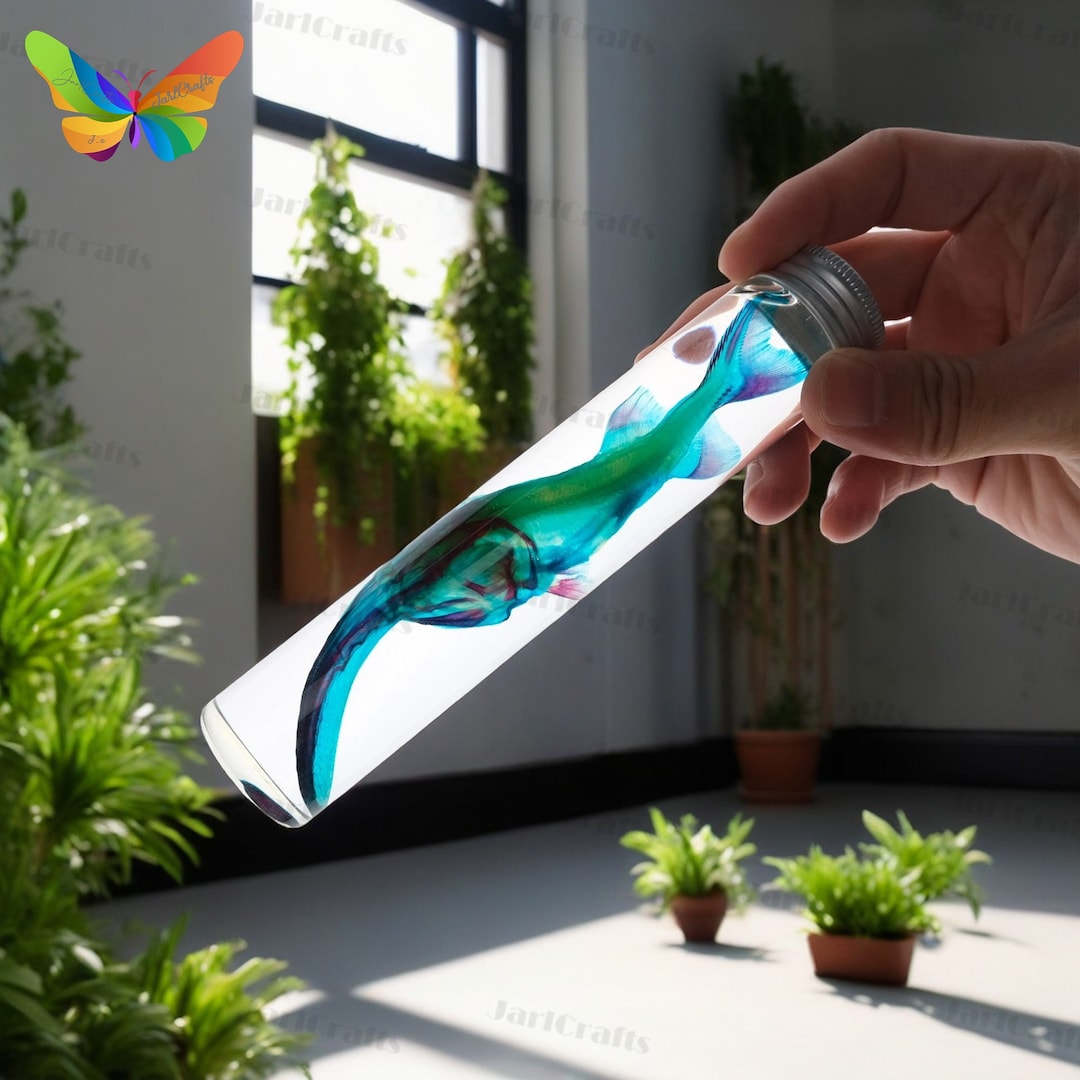 Bottled Transparent Duckbill Fish, Transparent Marine Skeleton Fish ...