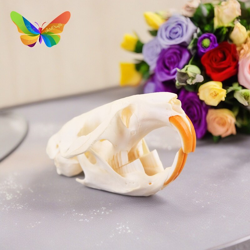 Animal Bones Real - Etsy