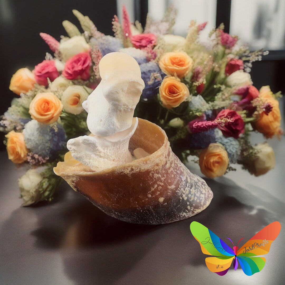 Real Donkey Hoof Bones, Animal Leg Bones, Bones From the Remains of ...