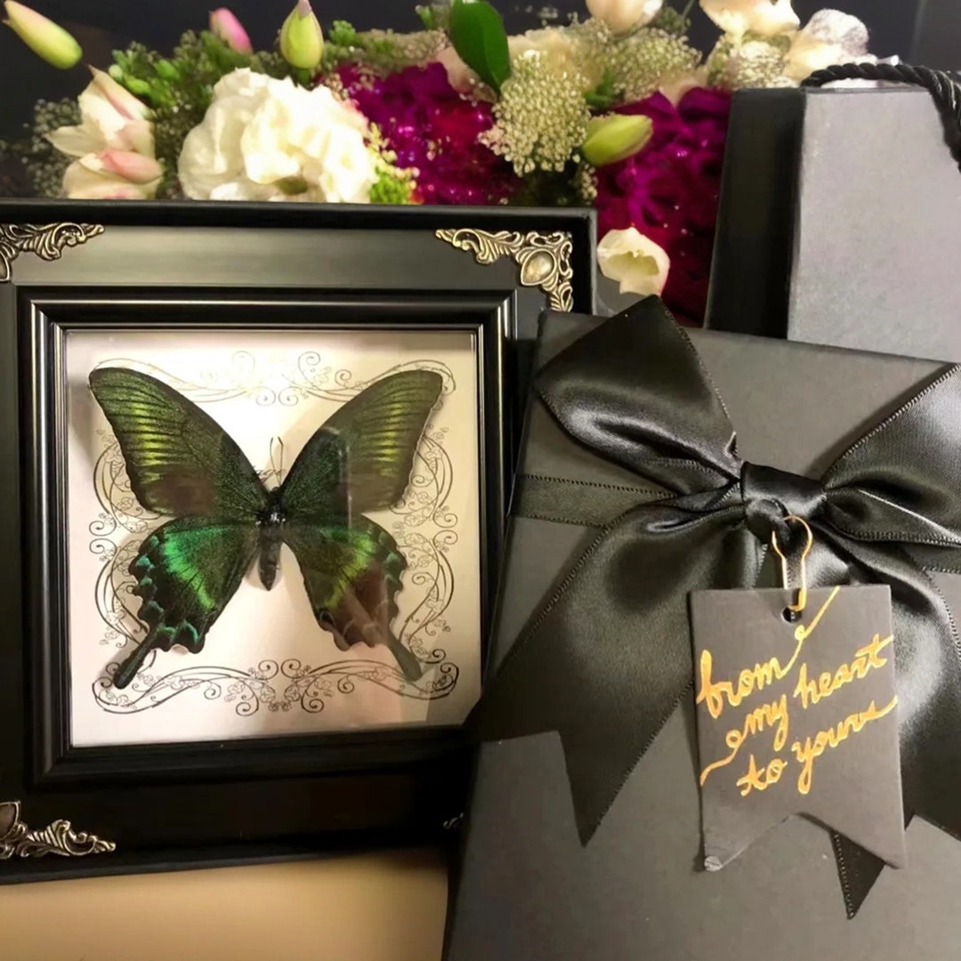 Natural Butterfly With Classic Decor Picture Frame, Butterfly Specimen ...