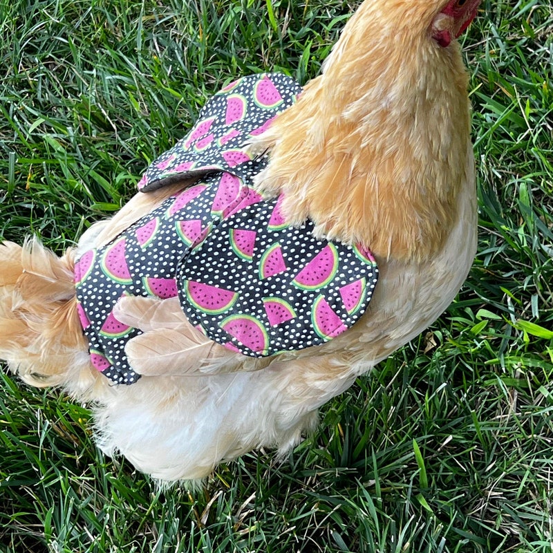 Clothes for Chickens - Etsy