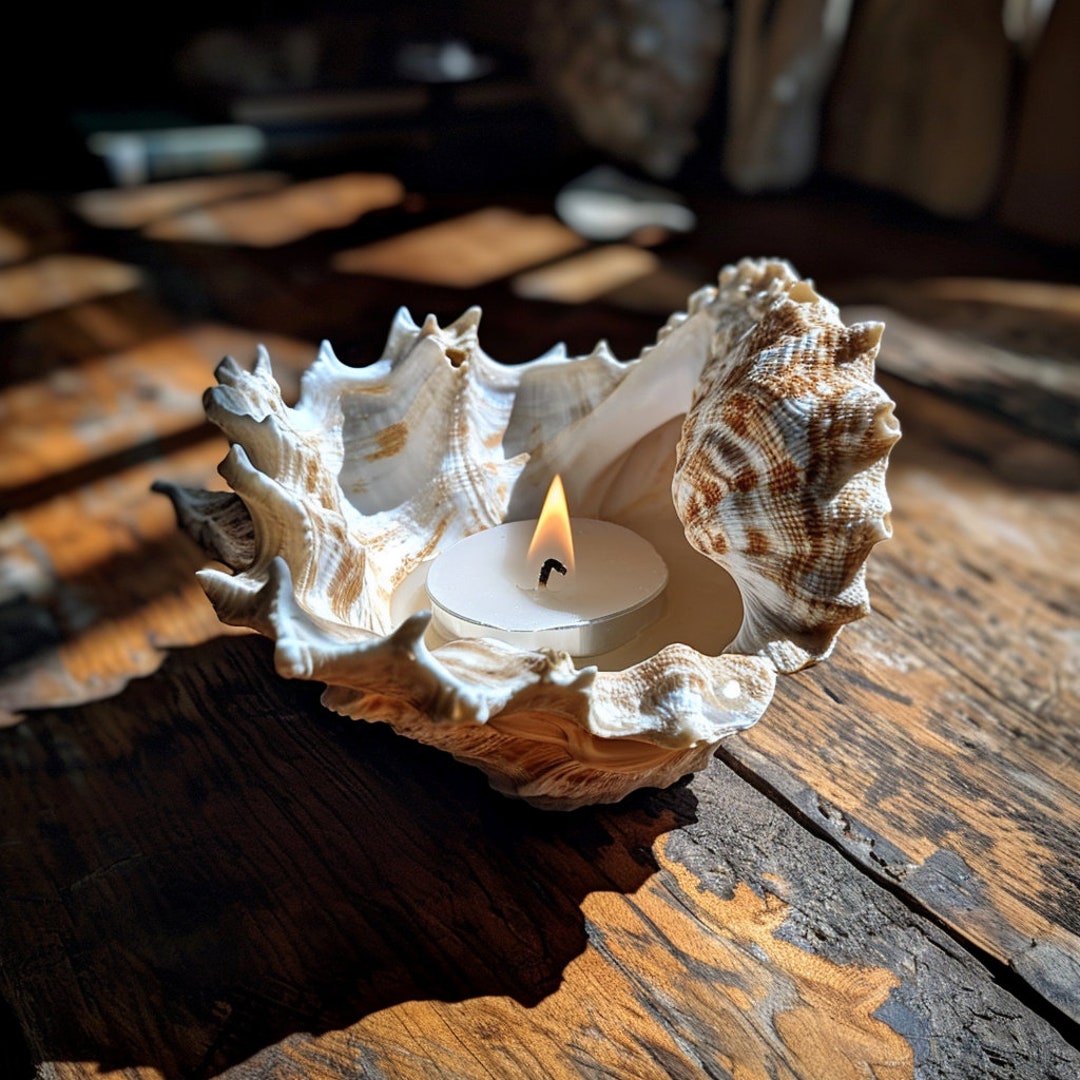 Artisanal Seashell Candle Holders - Etsy
