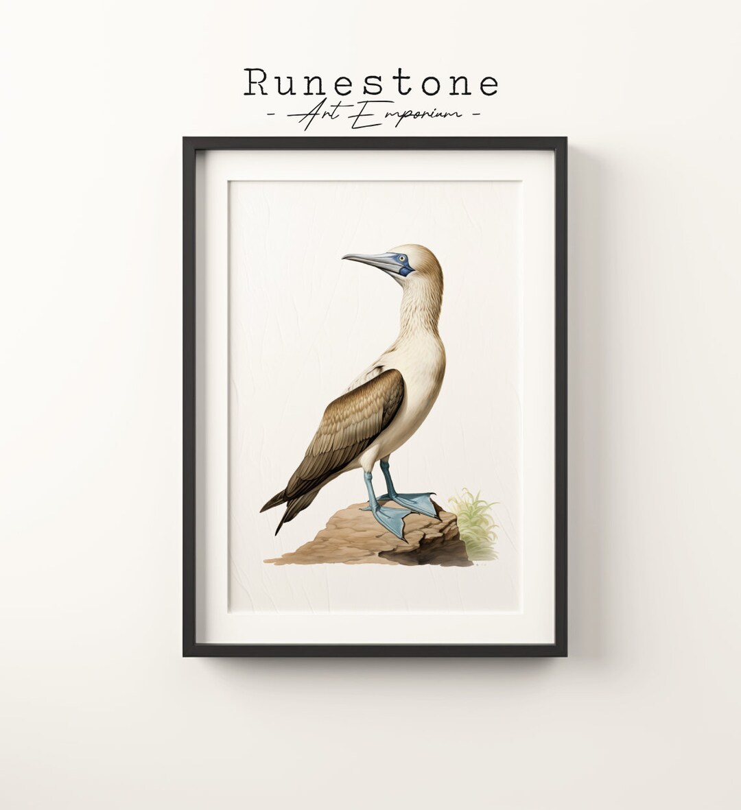 Vintage Blue-footed Booby Seabird Sketch | Exotic Bird Illustration ...