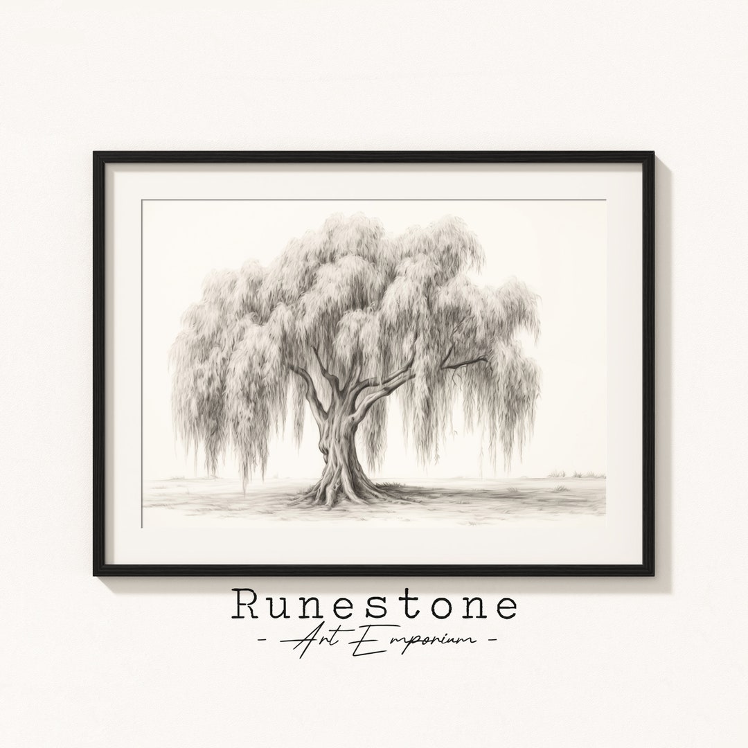 Willow Tree Sketch Print | Botanical Wall Art | Minimal Portrait ...