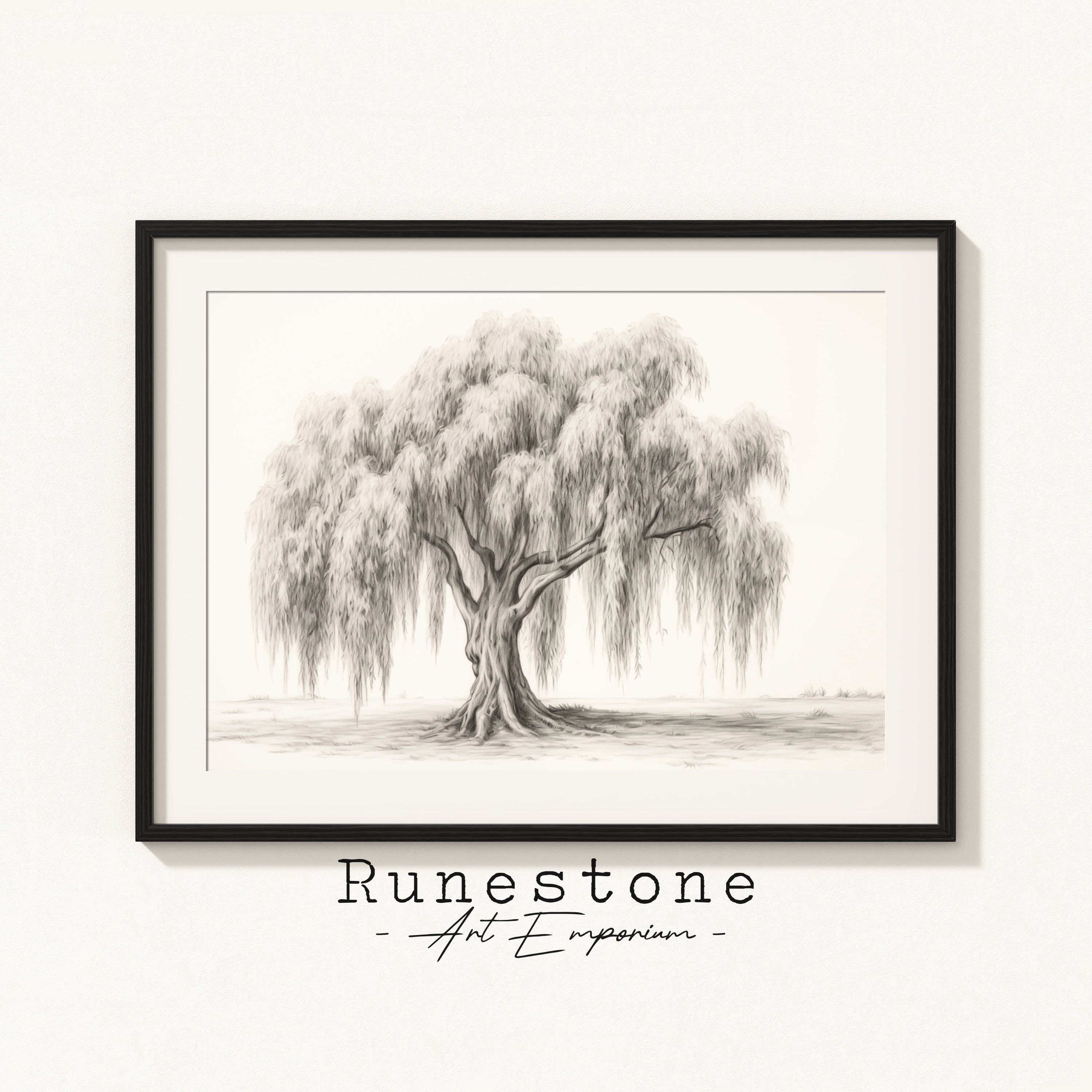 Willow Tree Pencil Drawing VanDusen Botanical Drawing And Painting