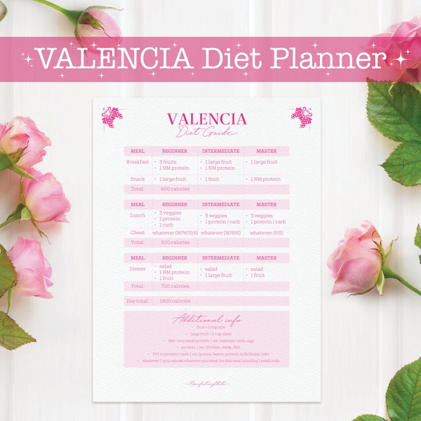 Diet Plan - Etsy