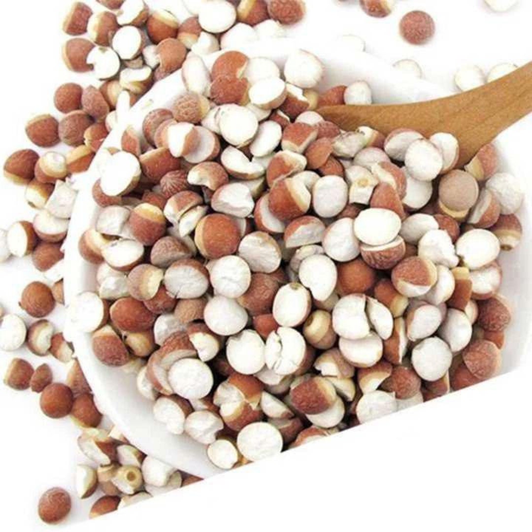 Fox Nut Barley, 7oz 15.16oz, Euryale Ferox, Qian Shi, Natural Herbs ...