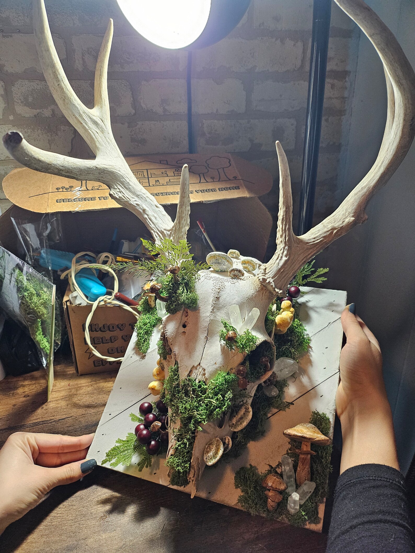 Decorated Deer Skull Moss, Crystals, Hand Sculpted Mushrooms - Etsy