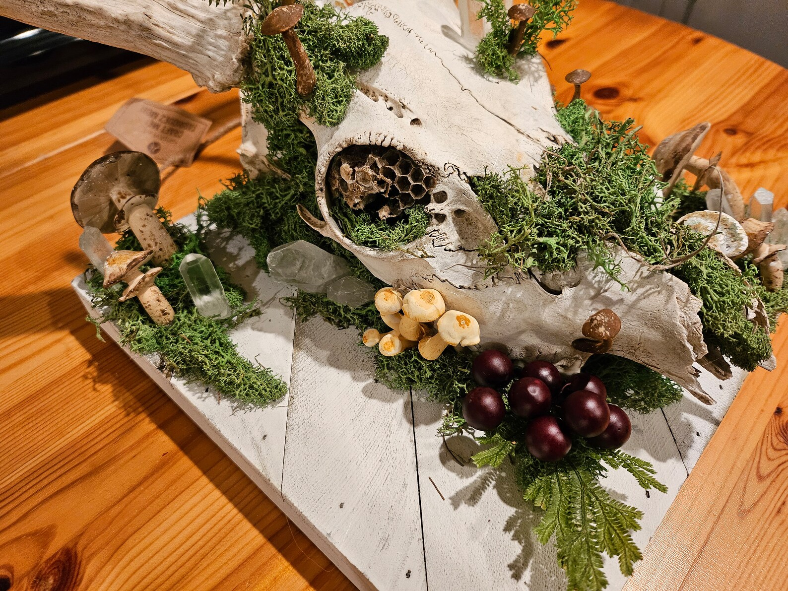 Decorated Deer Skull Moss, Crystals, Hand Sculpted Mushrooms - Etsy