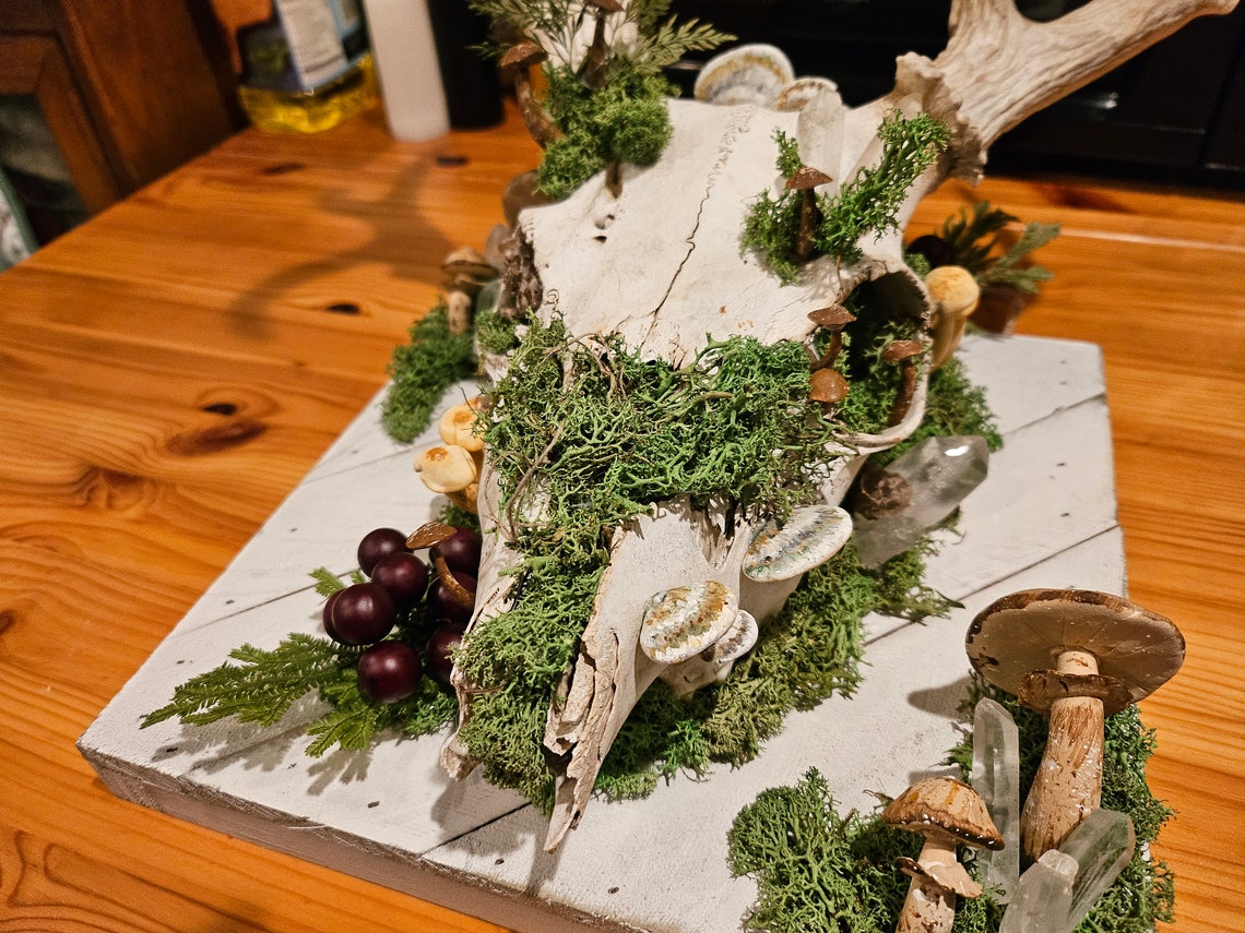 Decorated Deer Skull Moss, Crystals, Hand Sculpted Mushrooms - Etsy