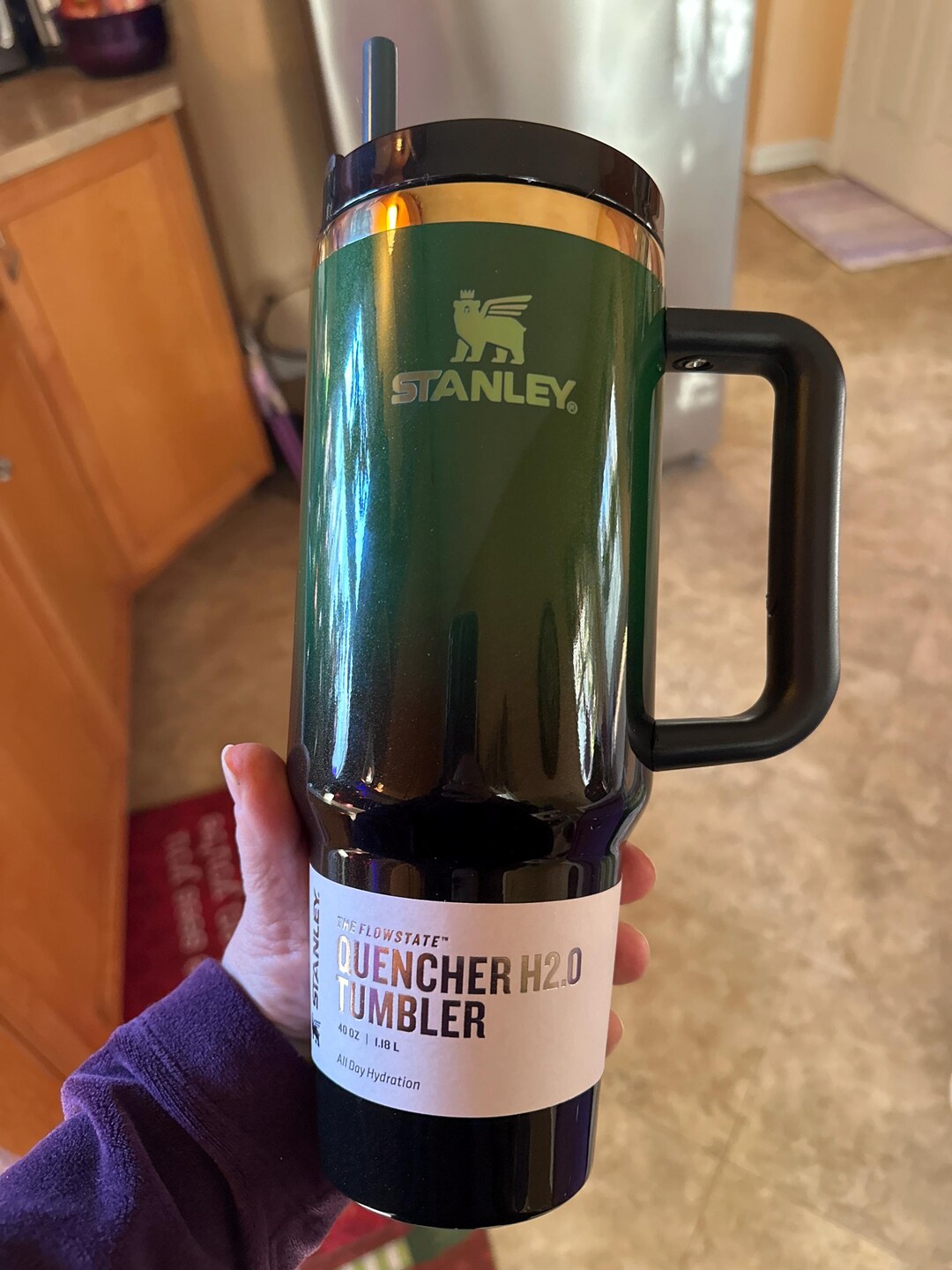 Personalized Custom Name Elphaba Wicked Stanley 40oz Cup Glinda Wicked ...