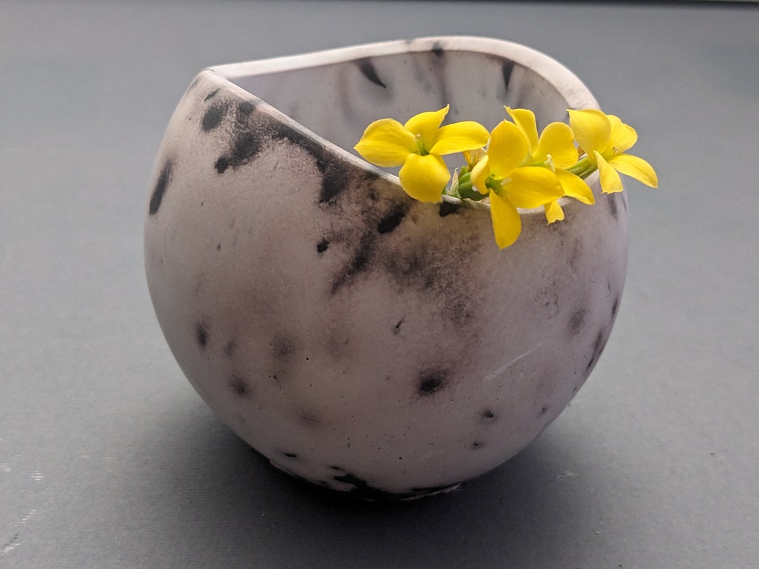 Gypsum Cup, Black and White, Gypsum Glass, Gypsum Planter, Interesting ...