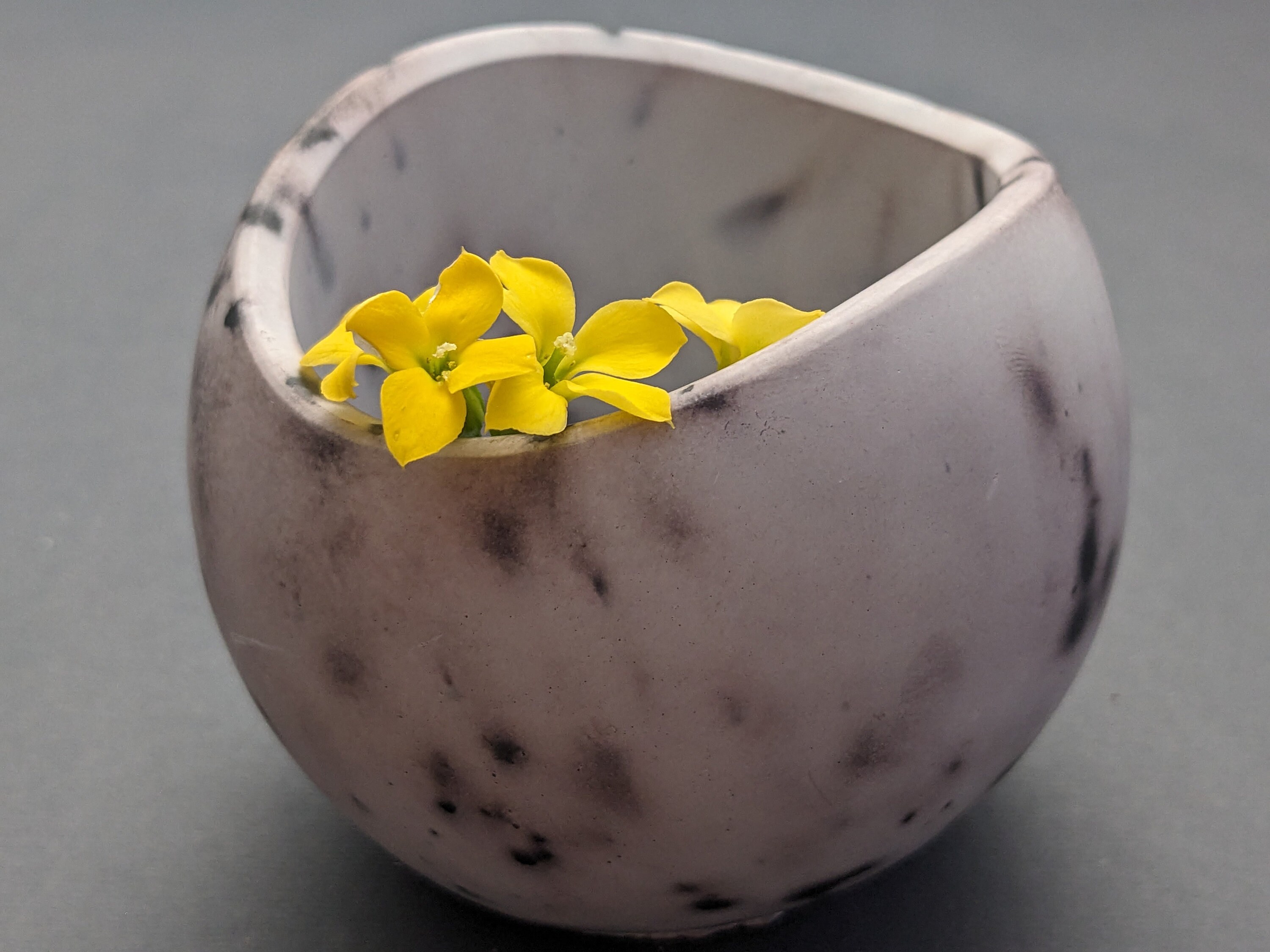 Gypsum Cup, Black and White, Gypsum Glass, Gypsum Planter, Interesting ...