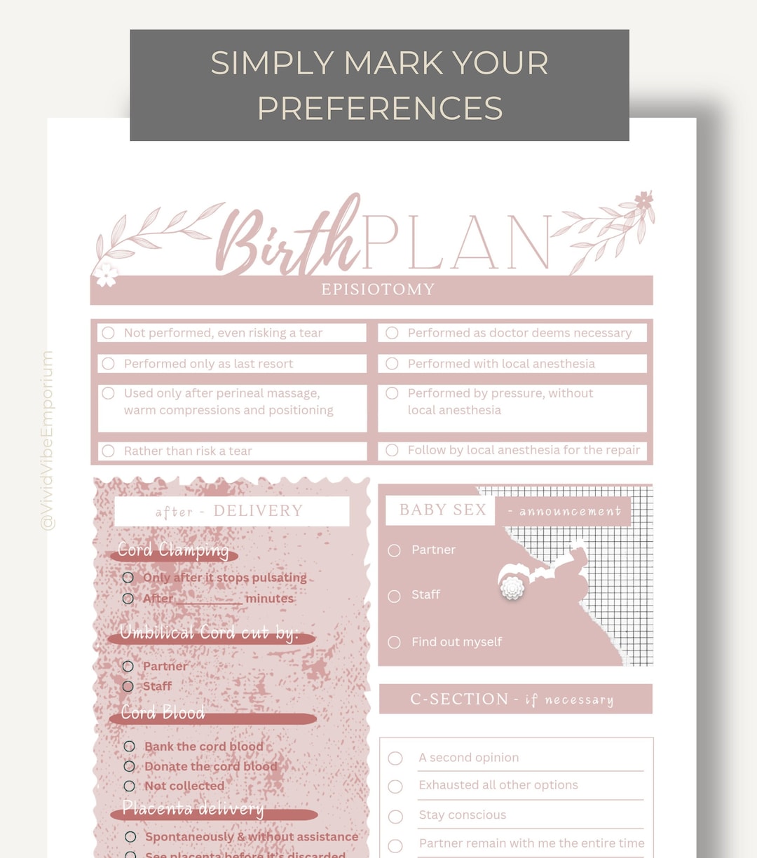 Birth Plan Template, Labour and Delivery Preferences, Childbirth ...