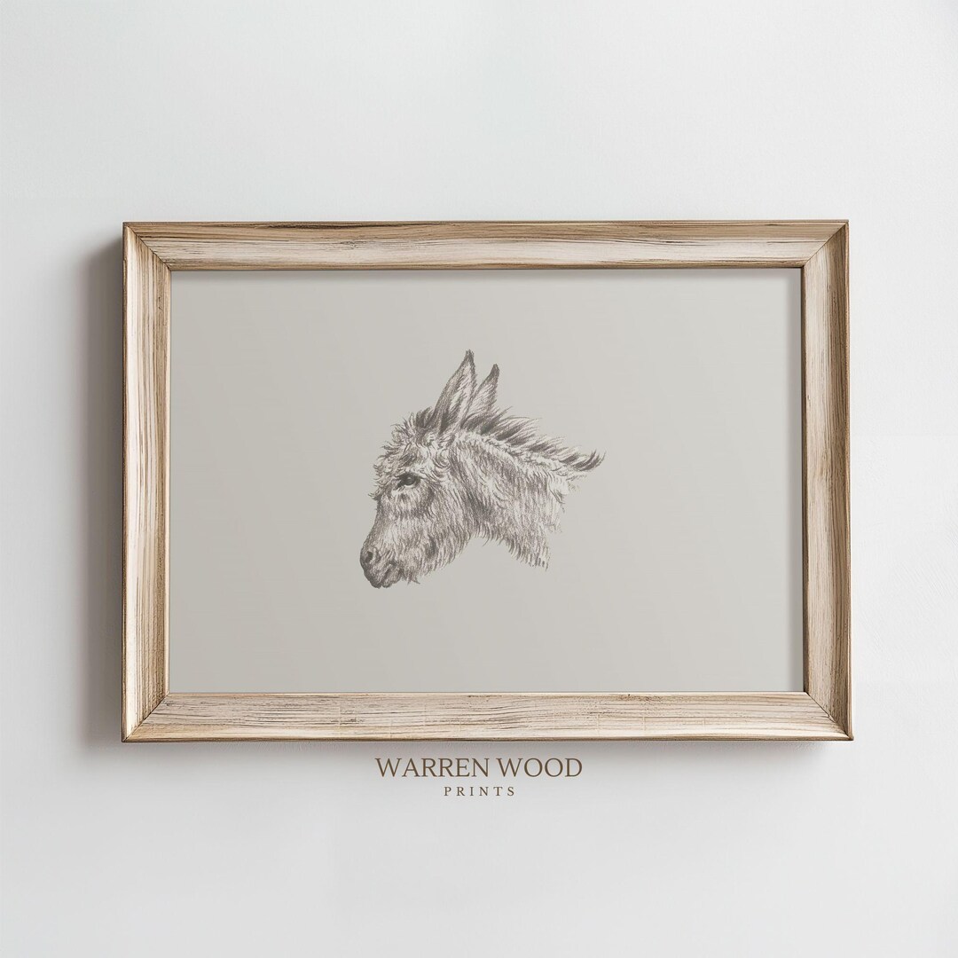 Donkey Sketch Print, Rustic Grey Wall Art, Vintage Animal Drawing ...