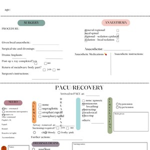 PACU Nursing Report Handover Guide Template - Etsy