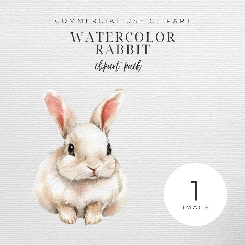 Watercolor Rabbit Clipart: Fluffy Bunny PNG for Commercial Use - Etsy