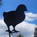 Chick Metal Garden Marker - Hen - Chicken - Rooster - Bird - Easter ...