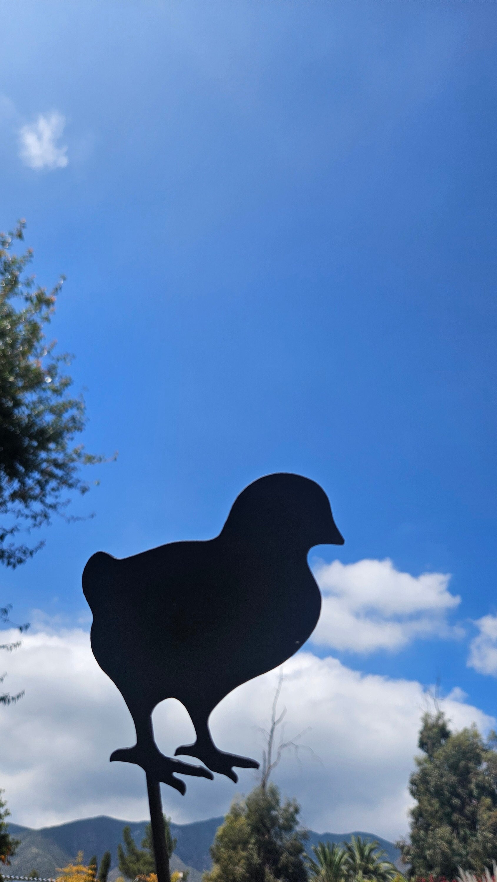 Chick Metal Garden Marker - Hen - Chicken - Rooster - Bird - Easter ...