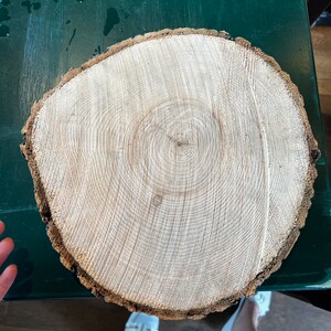 Baumscheibe - Etsy.de