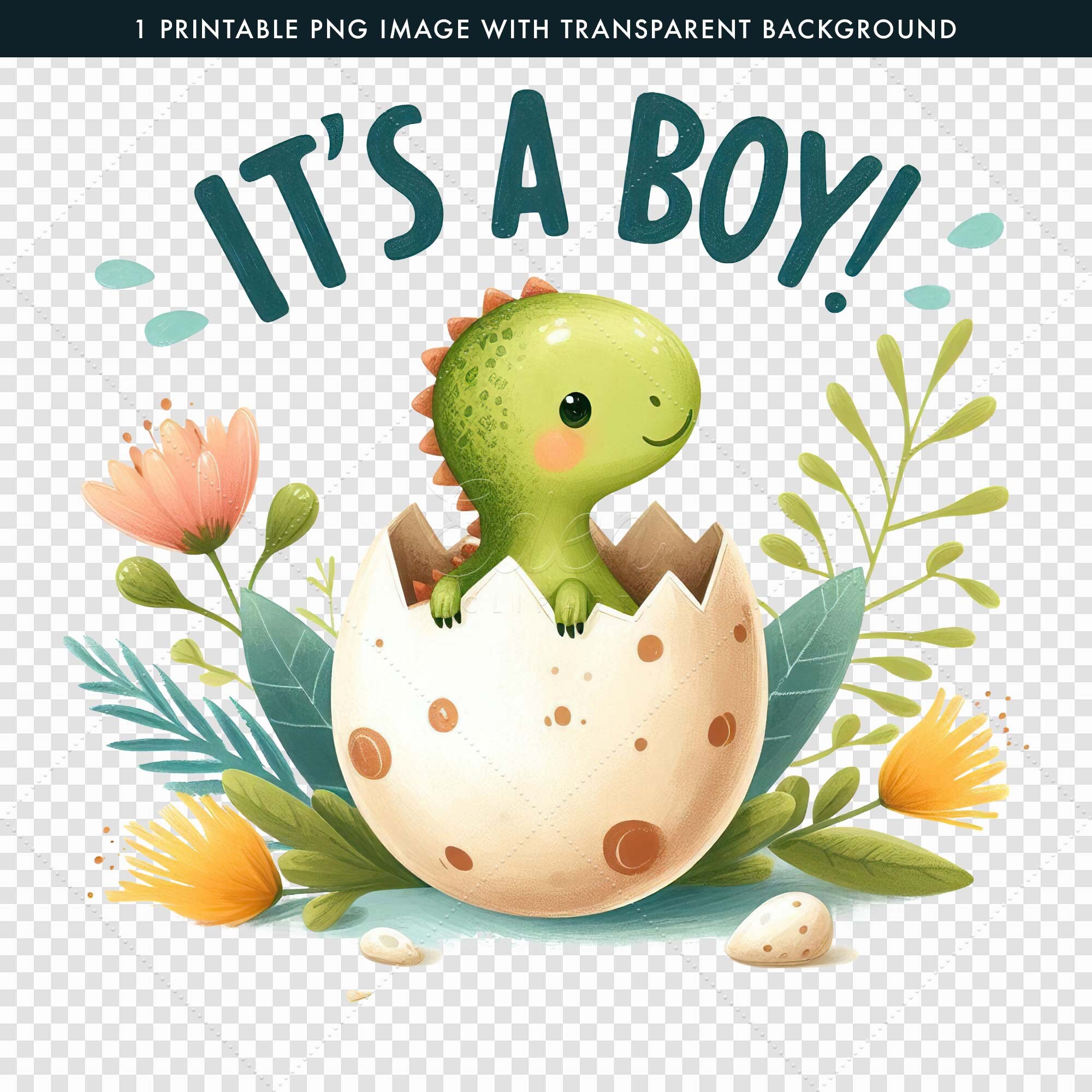 It's a Boy Dinosaur Clipart • Baby Shower Boy Clip Art • Printable ...