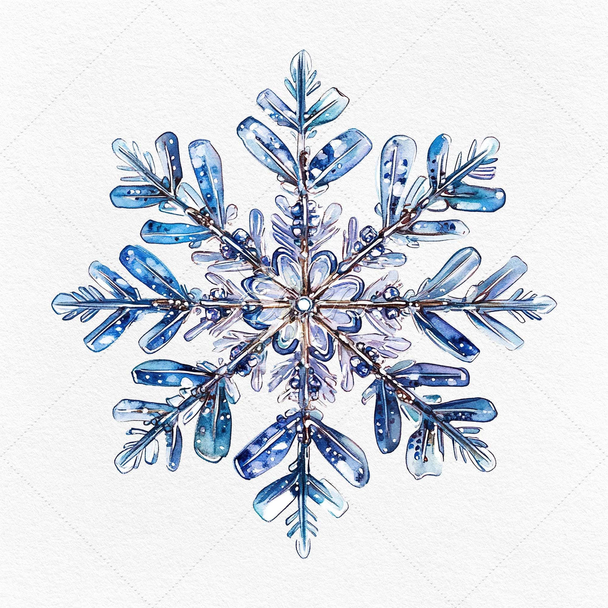 10 Watercolor Snowflake Clipart PNG/JPEG Winter Images for Christmas ...