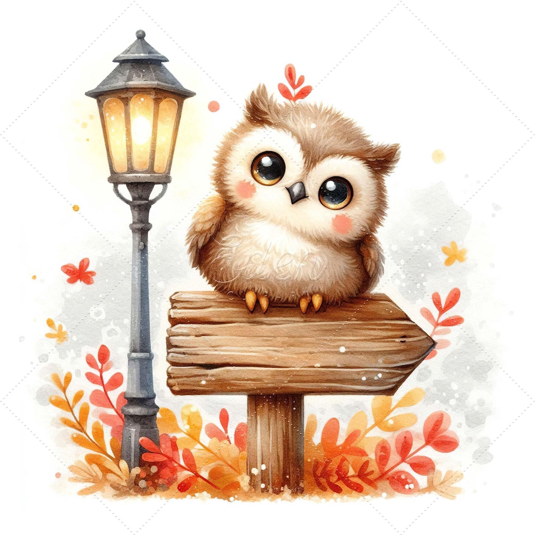 10 Cute Owl Clipart • JPG High Quality Owl Digital Art • Adorable ...