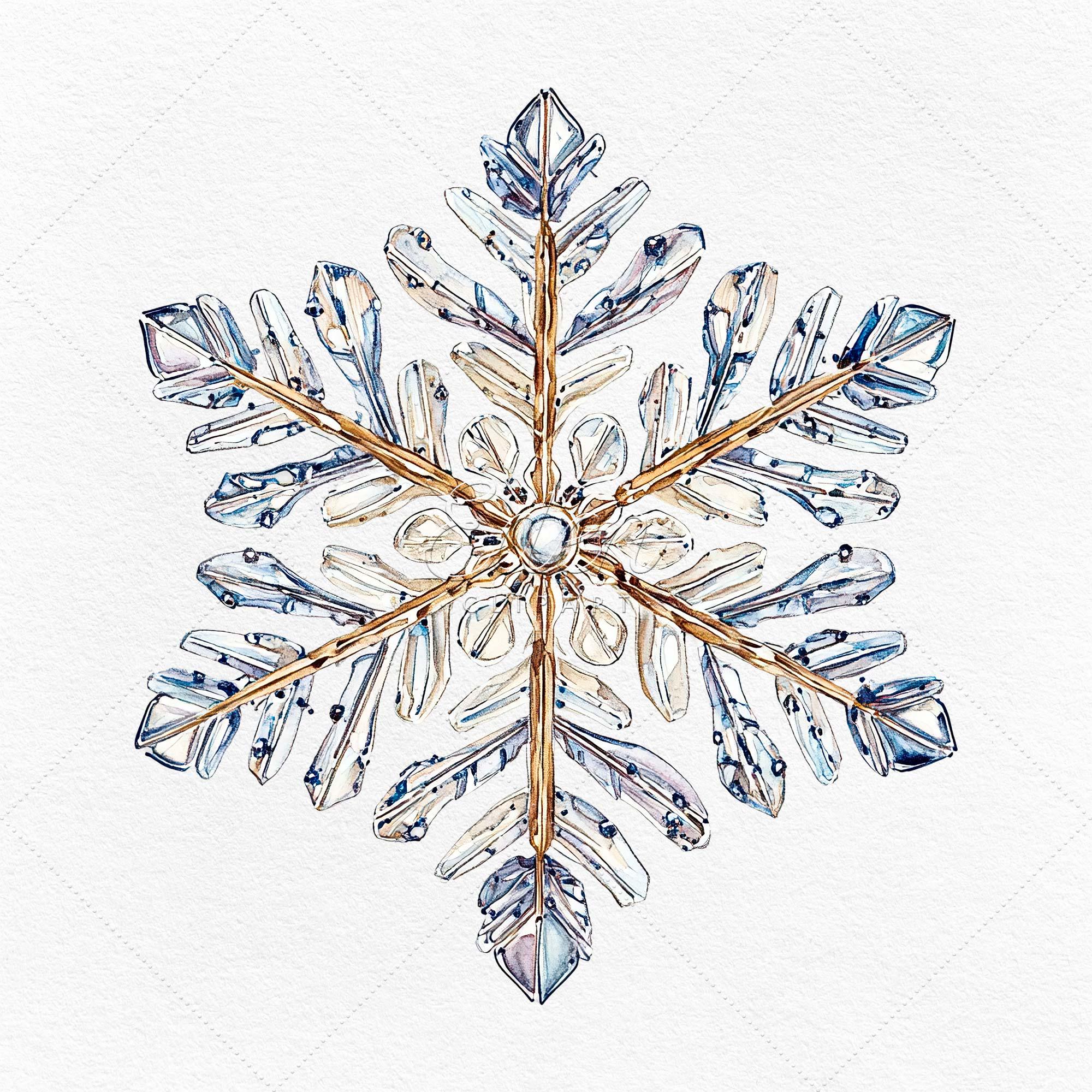 10 Watercolor Snowflake Clipart PNG/JPEG Winter Images for Christmas ...