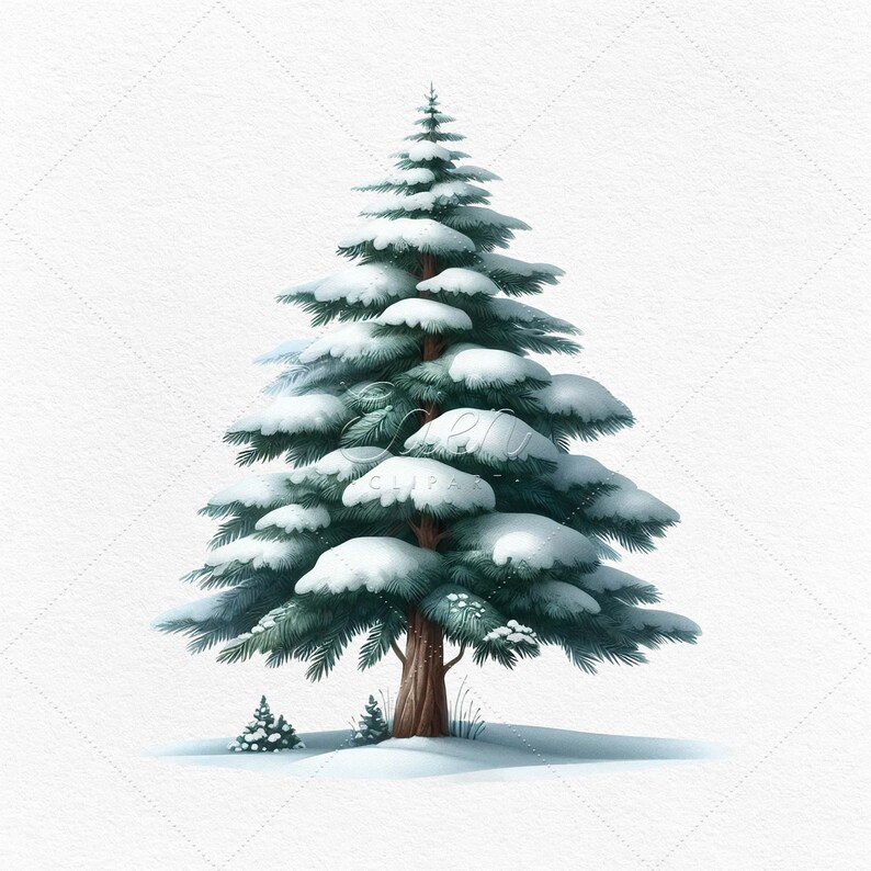 10 Snowy Christmas Tree Clipart PNG/JPG • Watercolor Holiday Tree ...