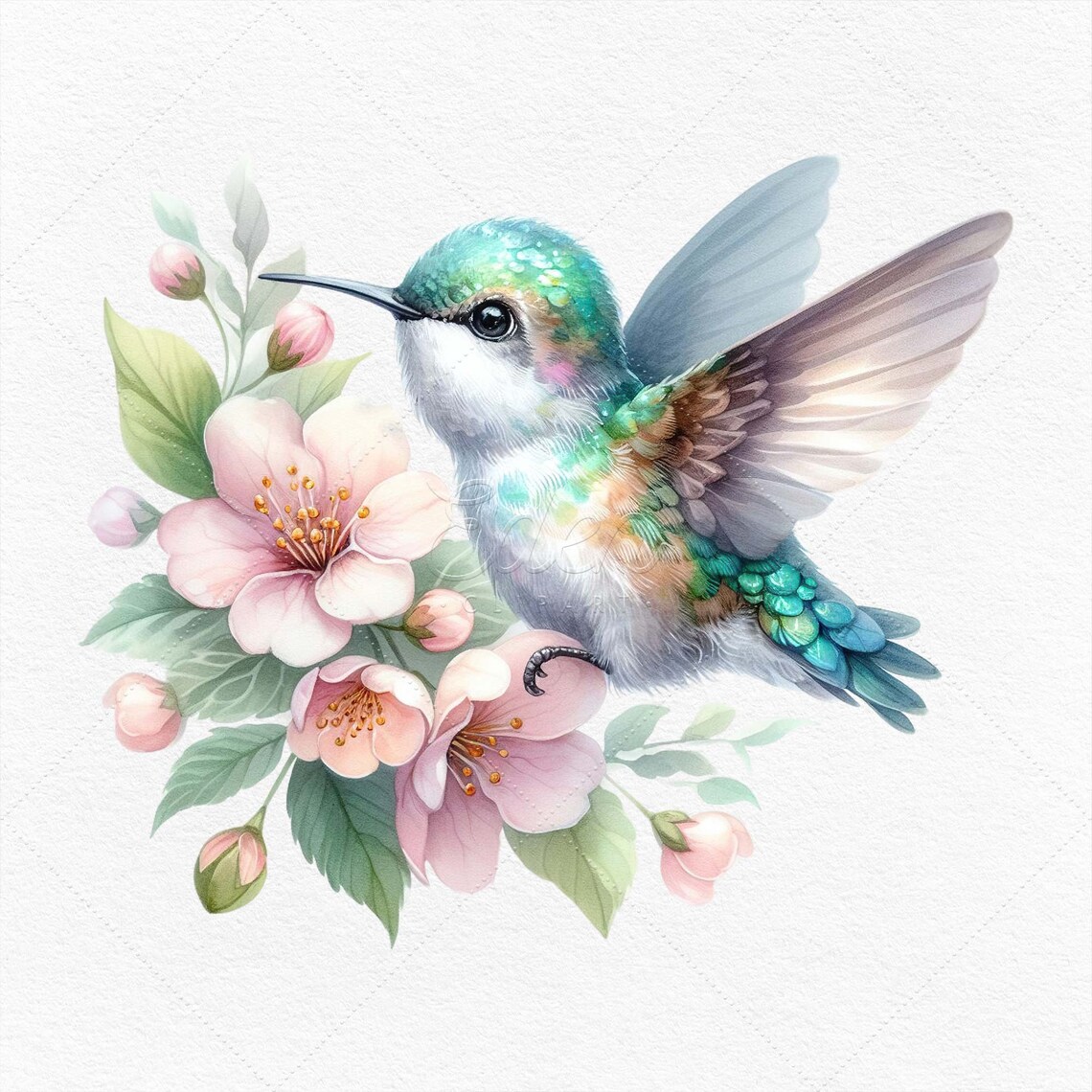6 PNG Clipart Images • Lovely Hummingbirds on Flowers • Clip Art and ...