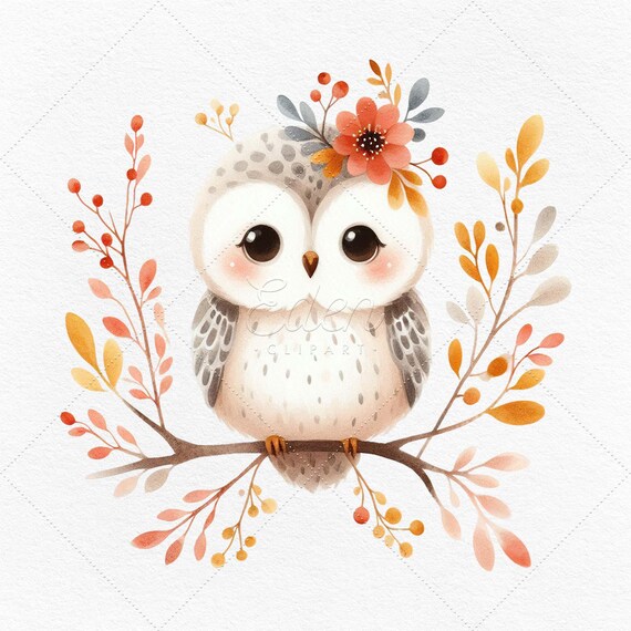 Baby Shower Owl Clipart