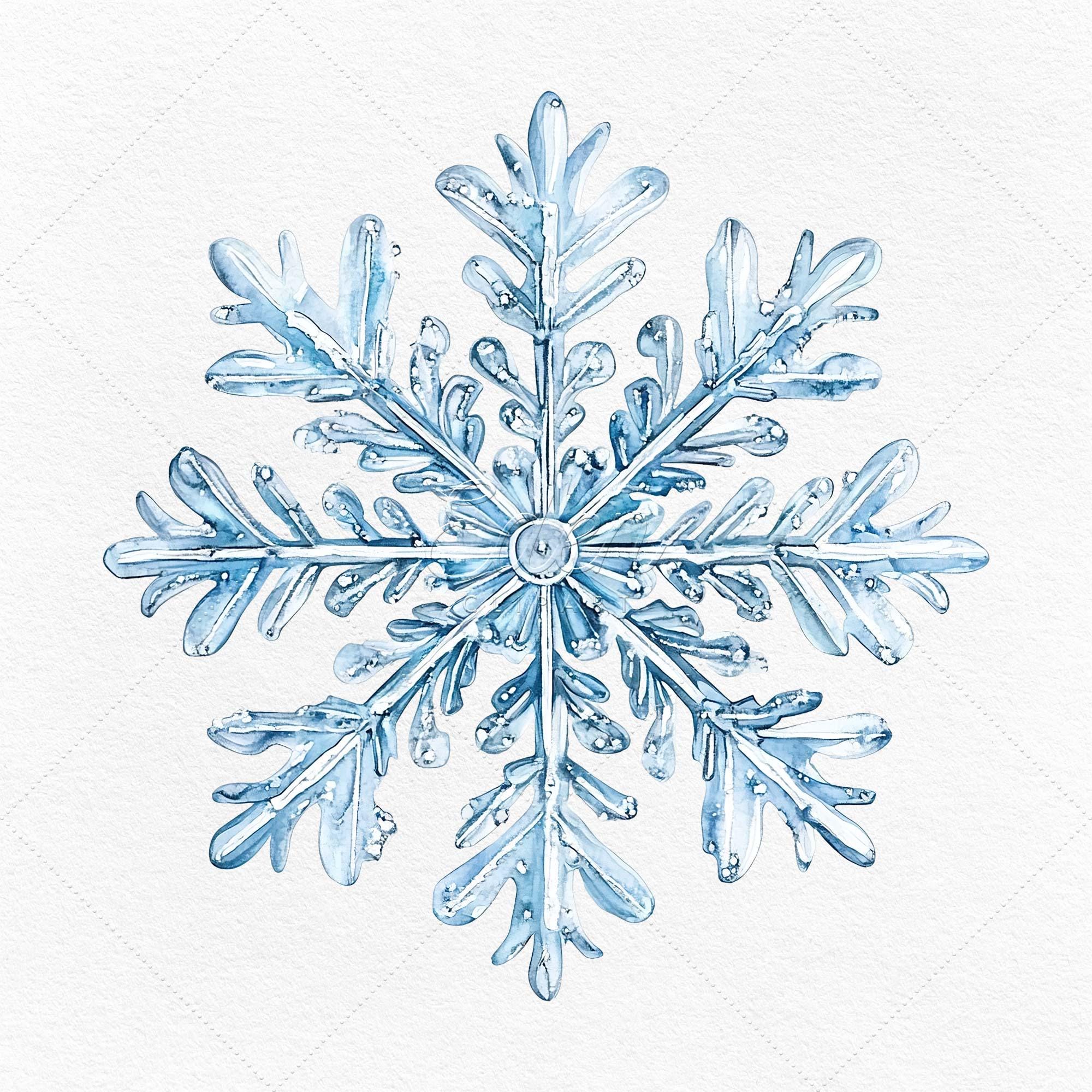 10 Watercolor Snowflake Clipart Bundle • Snowflake Art PNG/JPG • Winter ...