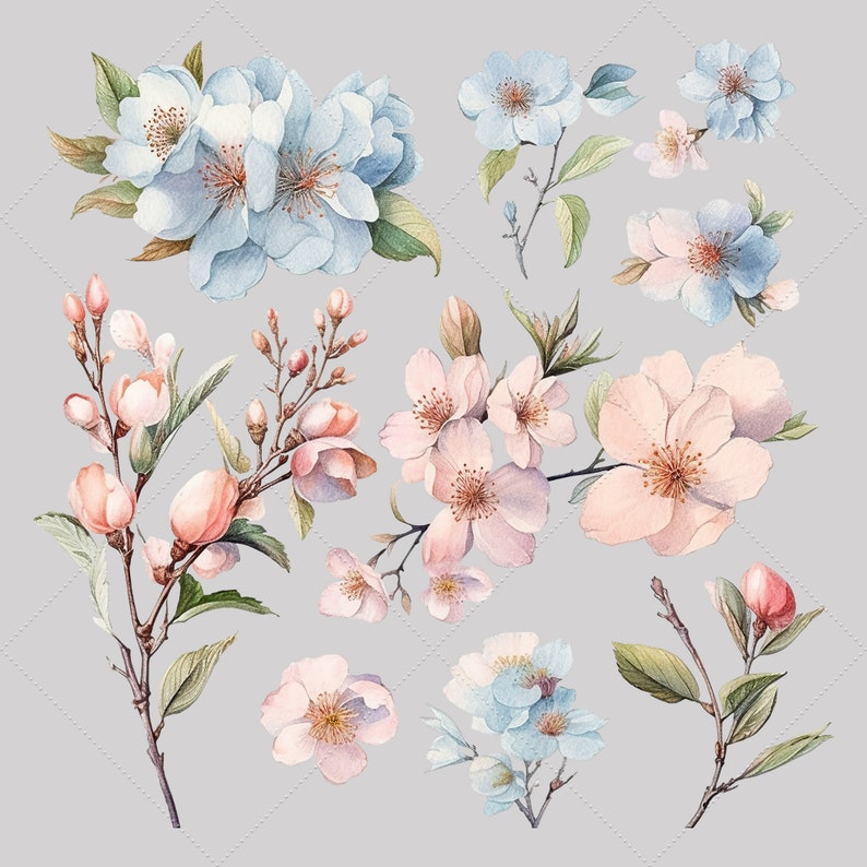 Cherry Blossom Flowers • Floral Clipart Set • Watercolor PNG Clip Art ...