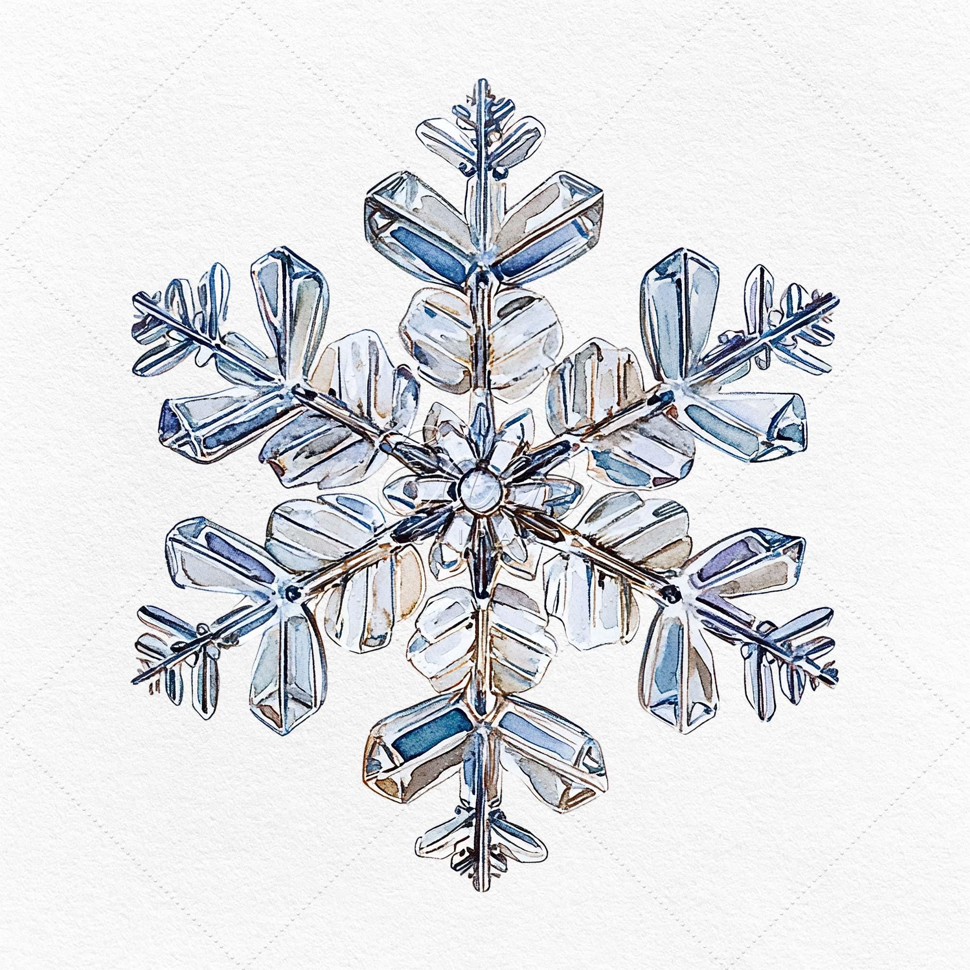 10 Watercolor Snowflake Clipart PNG/JPEG Winter Images for Christmas ...