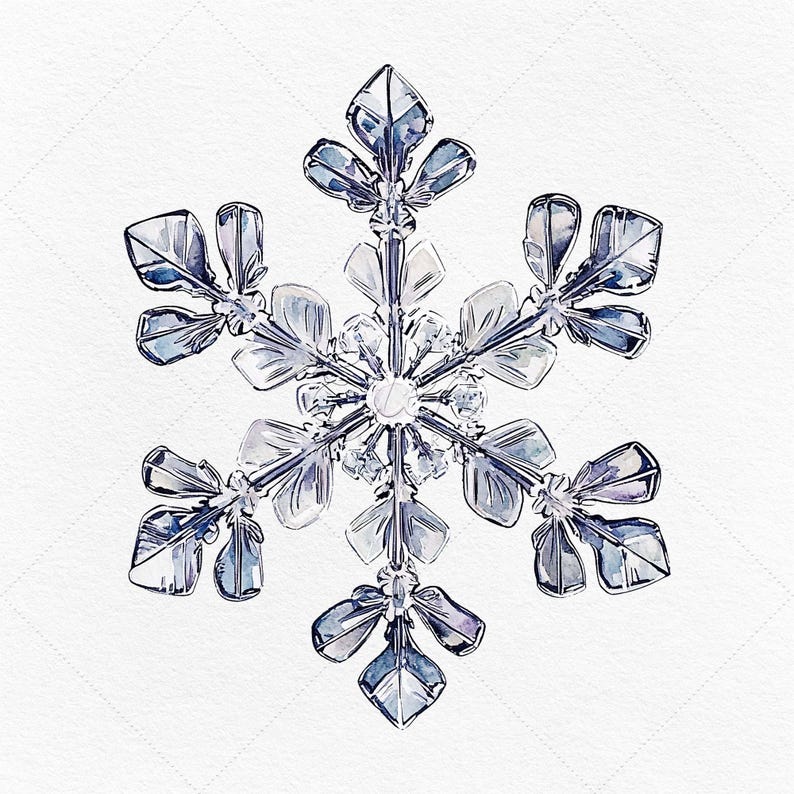10 Watercolor Snowflake Clipart • PNG/JPEG Winter Images for Christmas ...