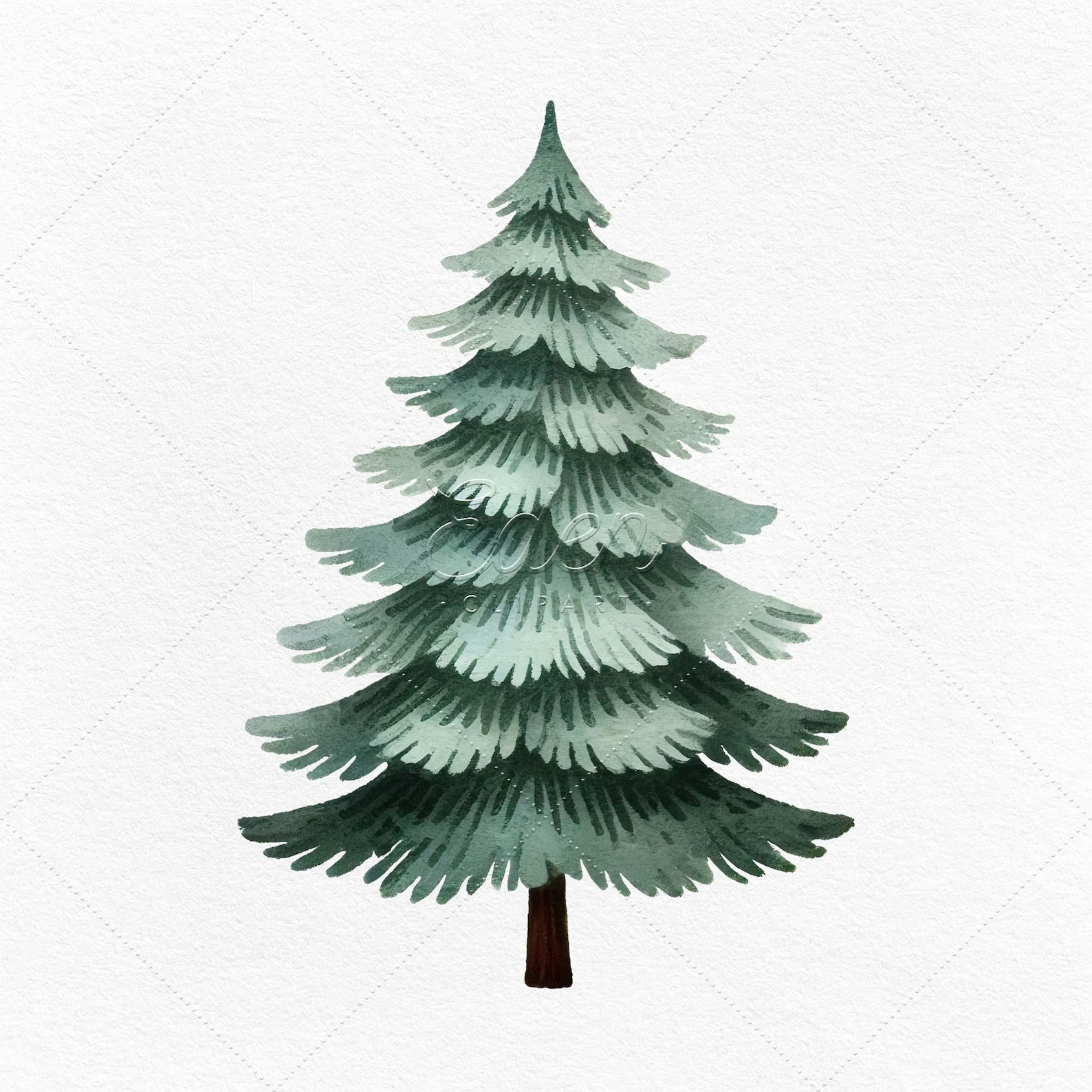 10 Fir Tree Clipart Transparent Background • Watercolor Fir Tree ...