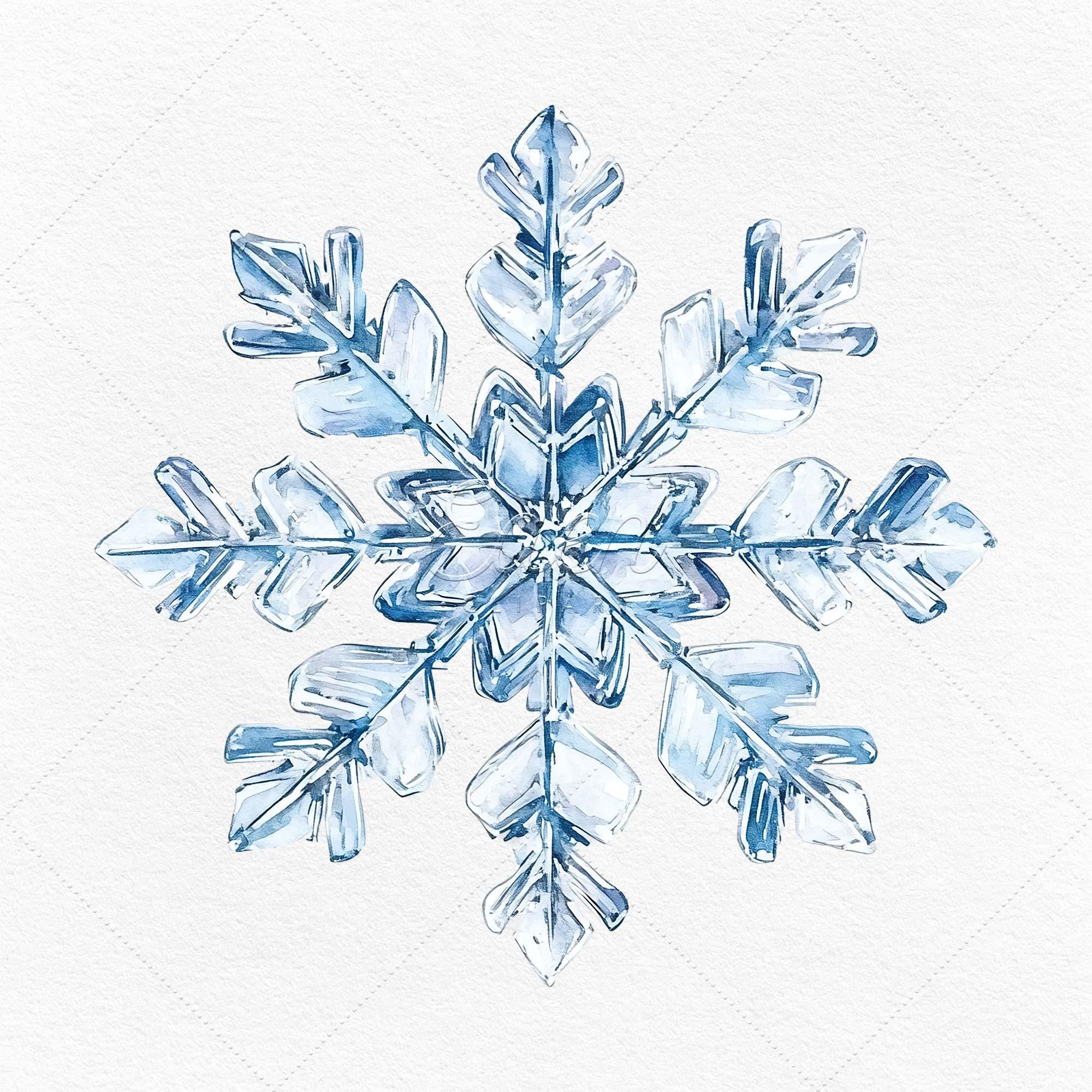 10 Watercolor Snowflake Clipart Bundle • Snowflake Art PNG/JPG • Winter ...