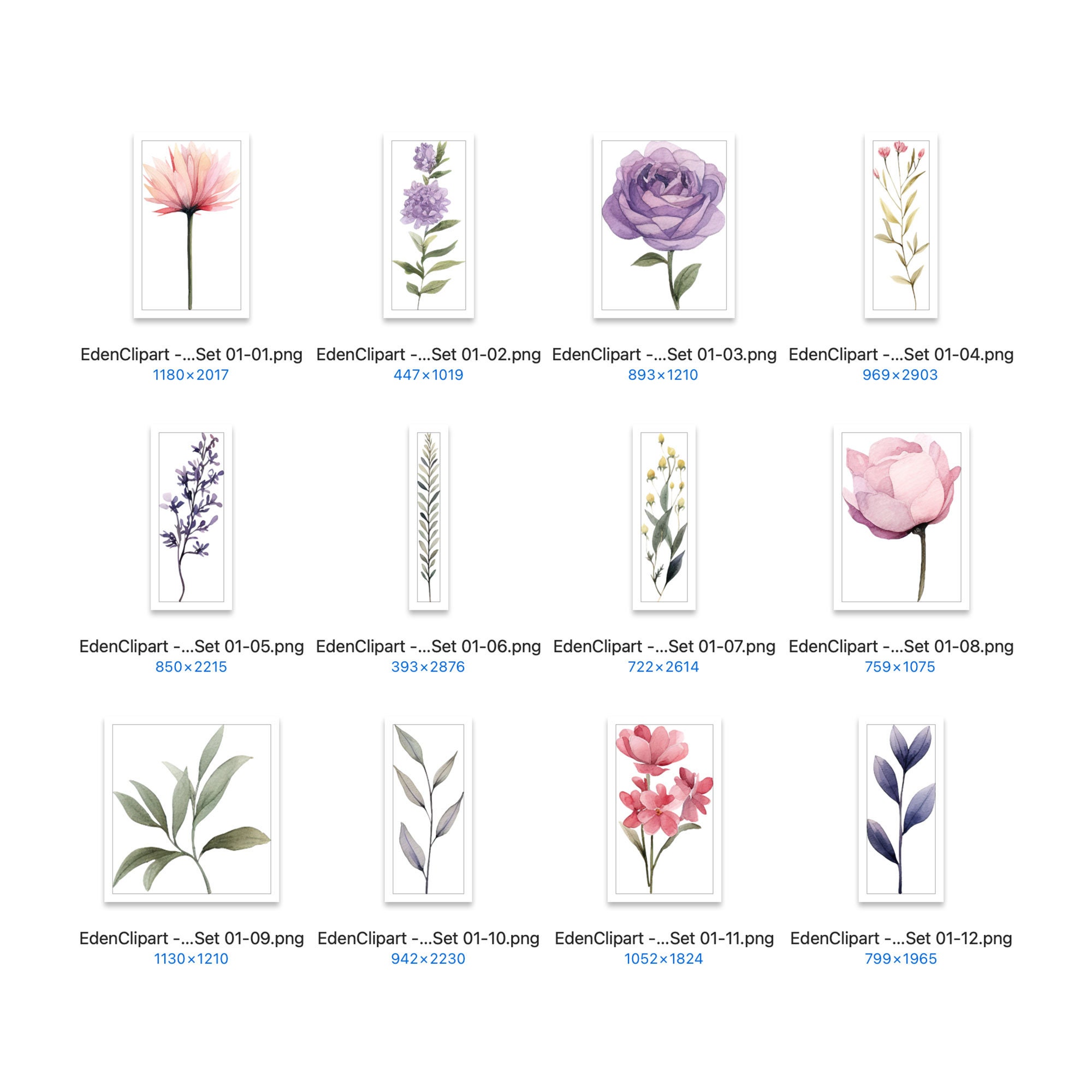 Watercolor Flowers Set • Wedding Clipart • PNG Files • Spring Clip Art ...