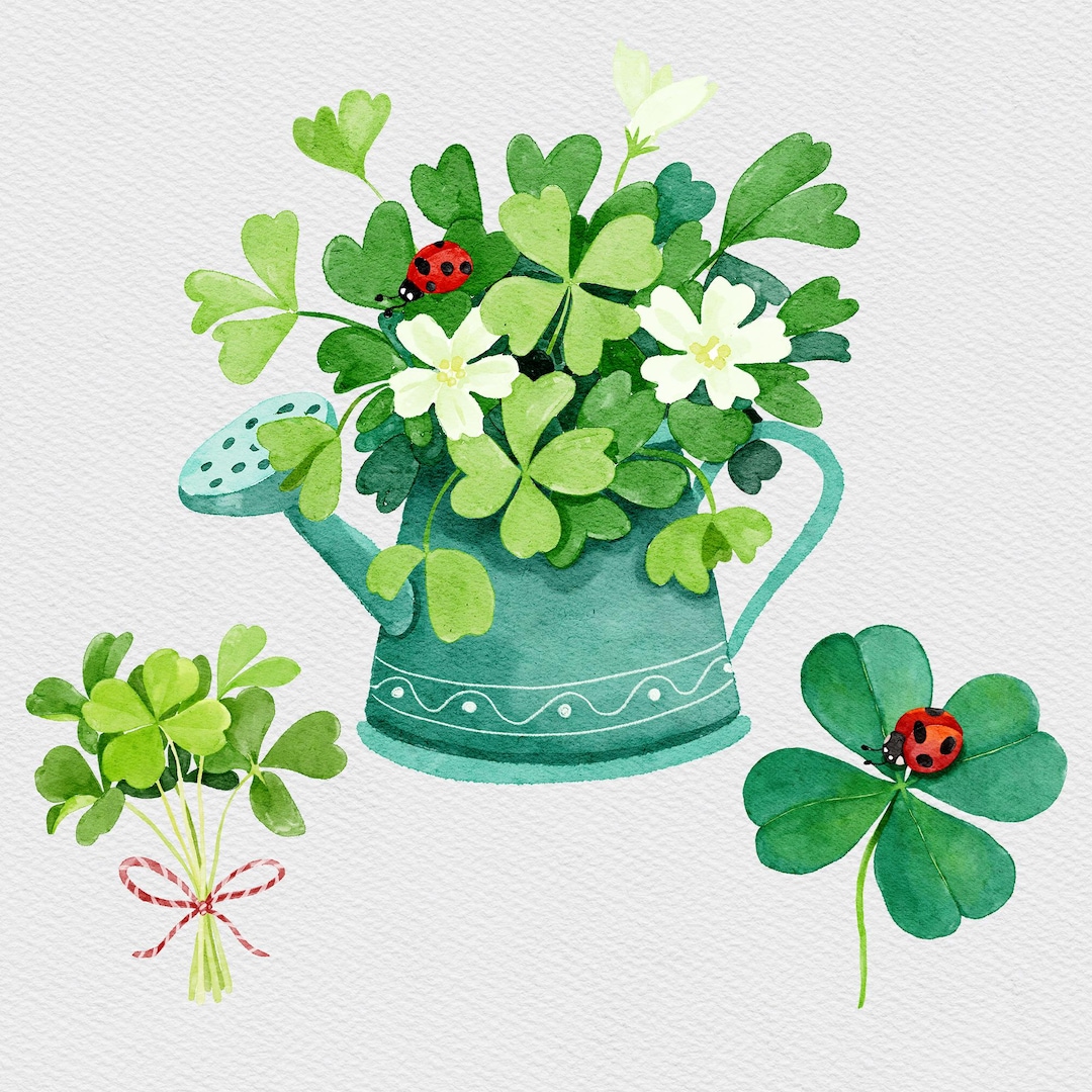 Watercolor Clover Clipart, St Patricks Day Clipart, Shamrock PNG ...
